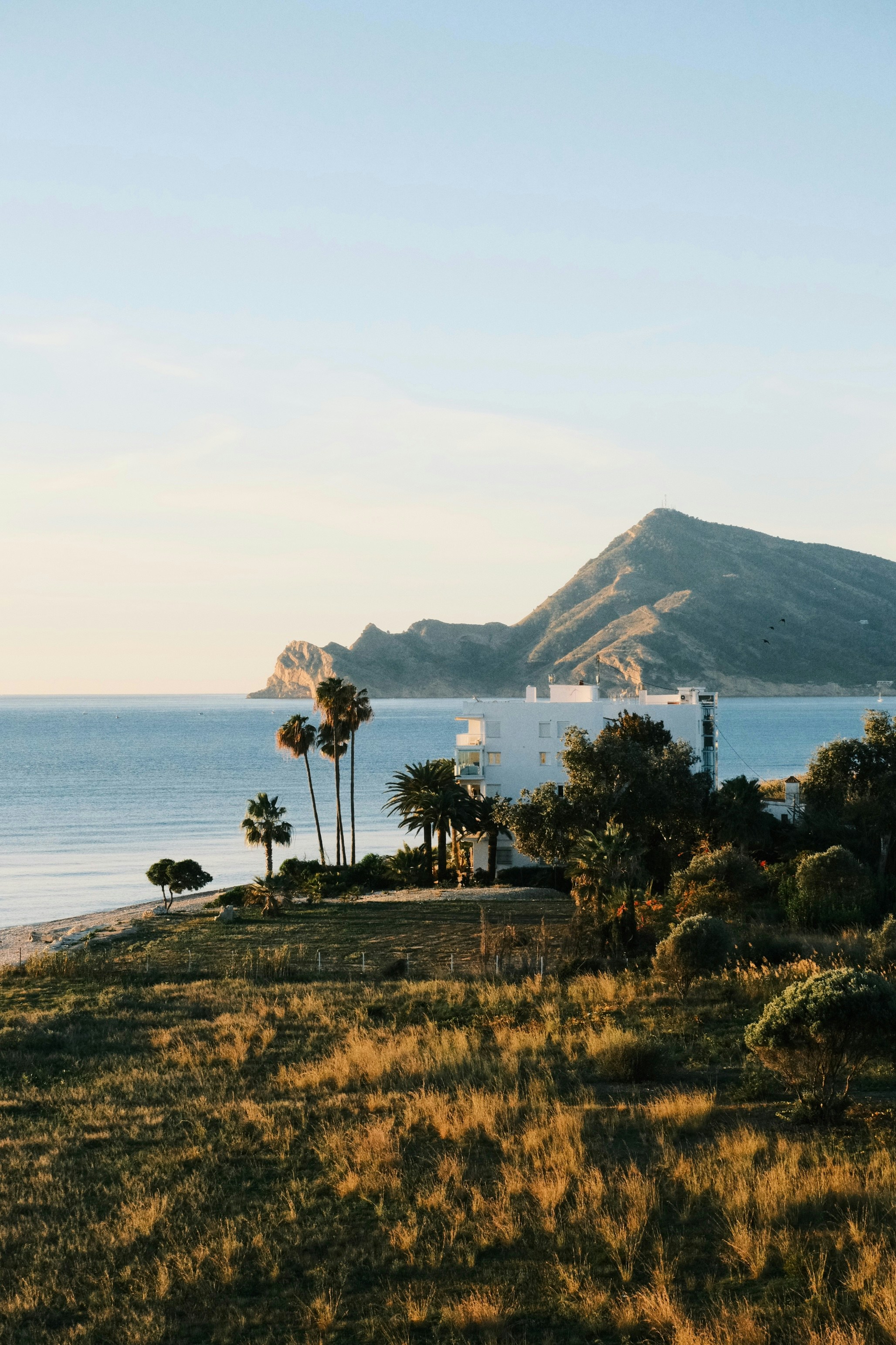 Coastal White Building Framed by Palm Trees against Hills and Sea