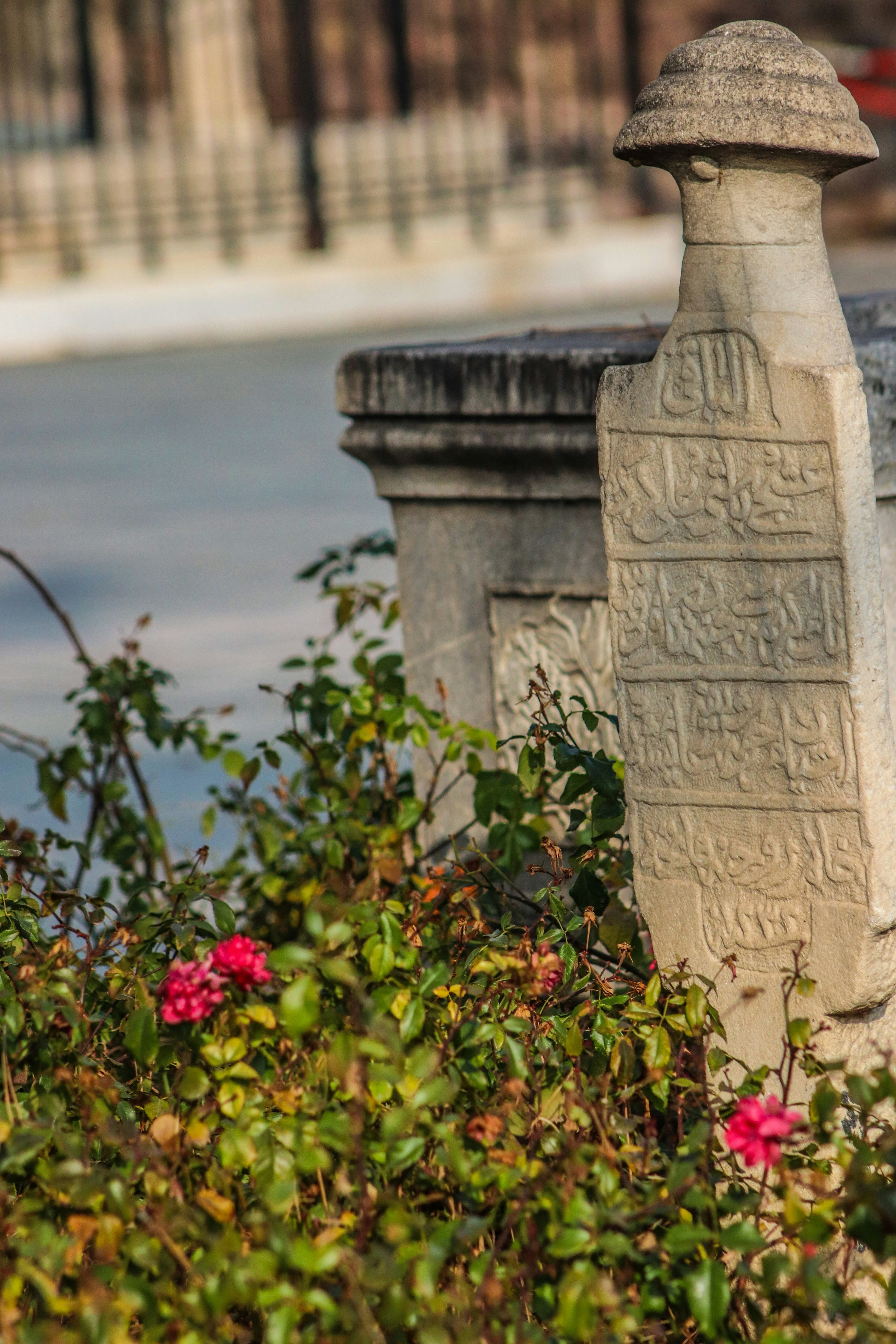 Photo by Hatice Ünal with Canon EOS 200D