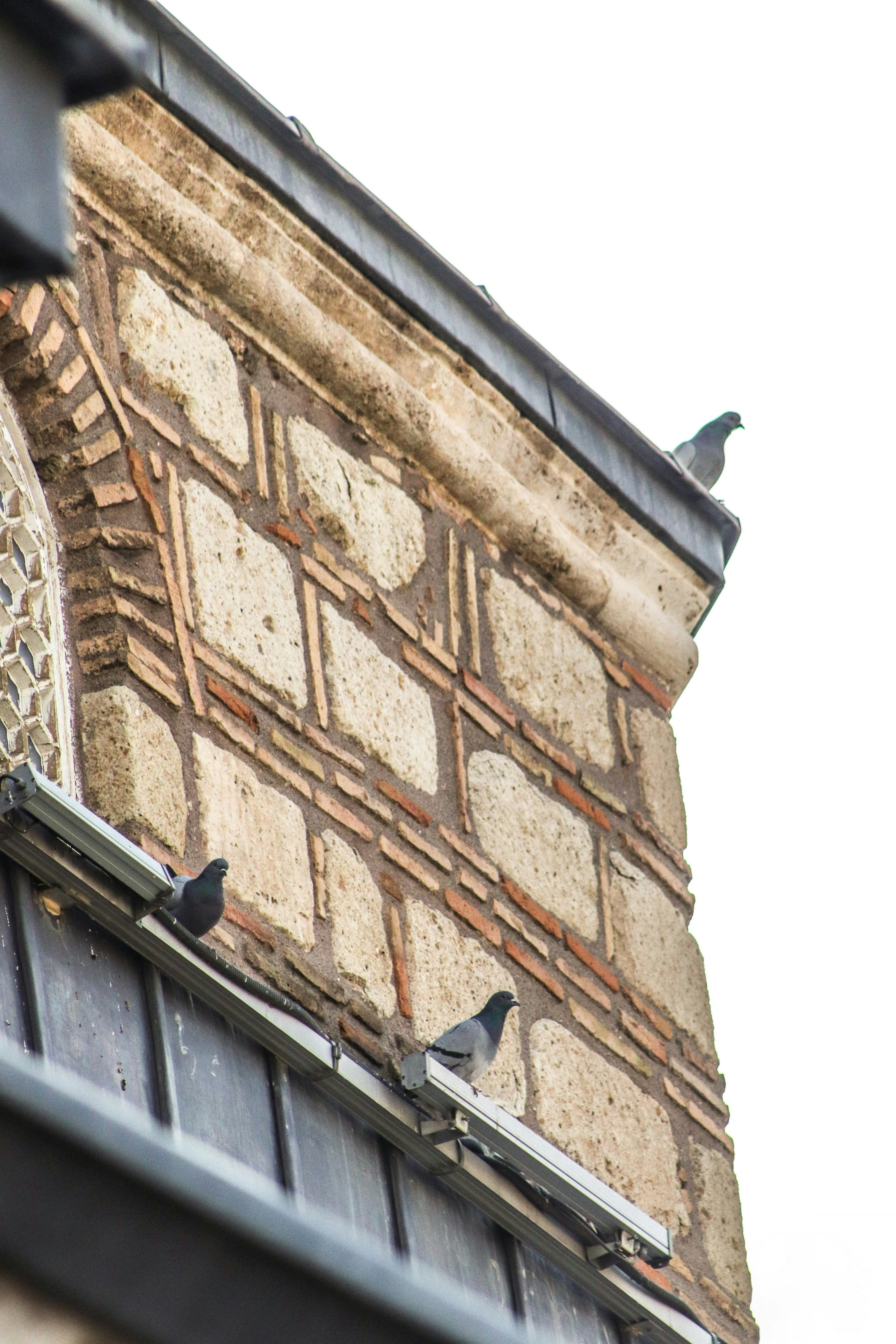 Pigeons and Stonework on a Quiet Rooftop Corner