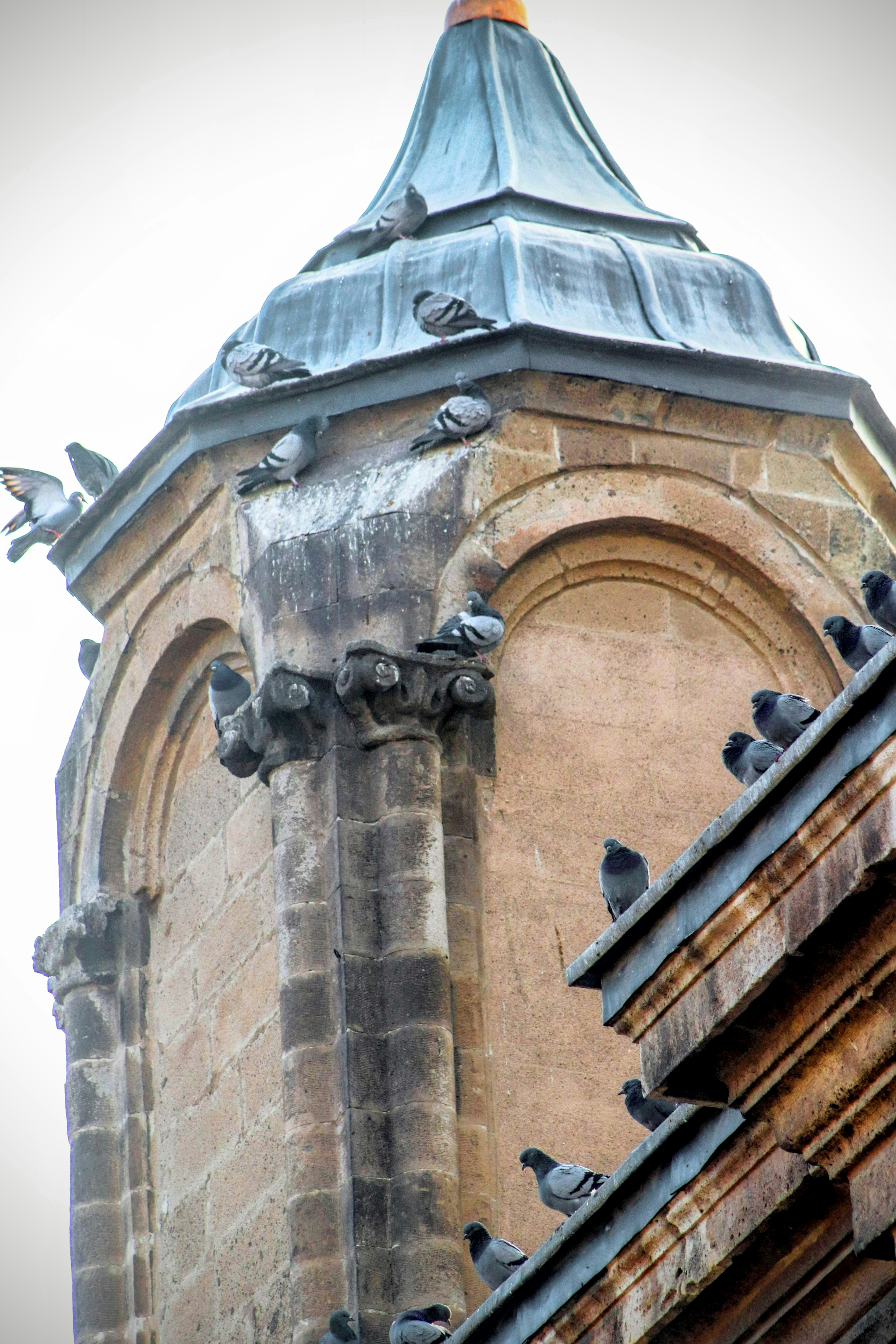 Pigeons Perch on a Historic Stone Turret
