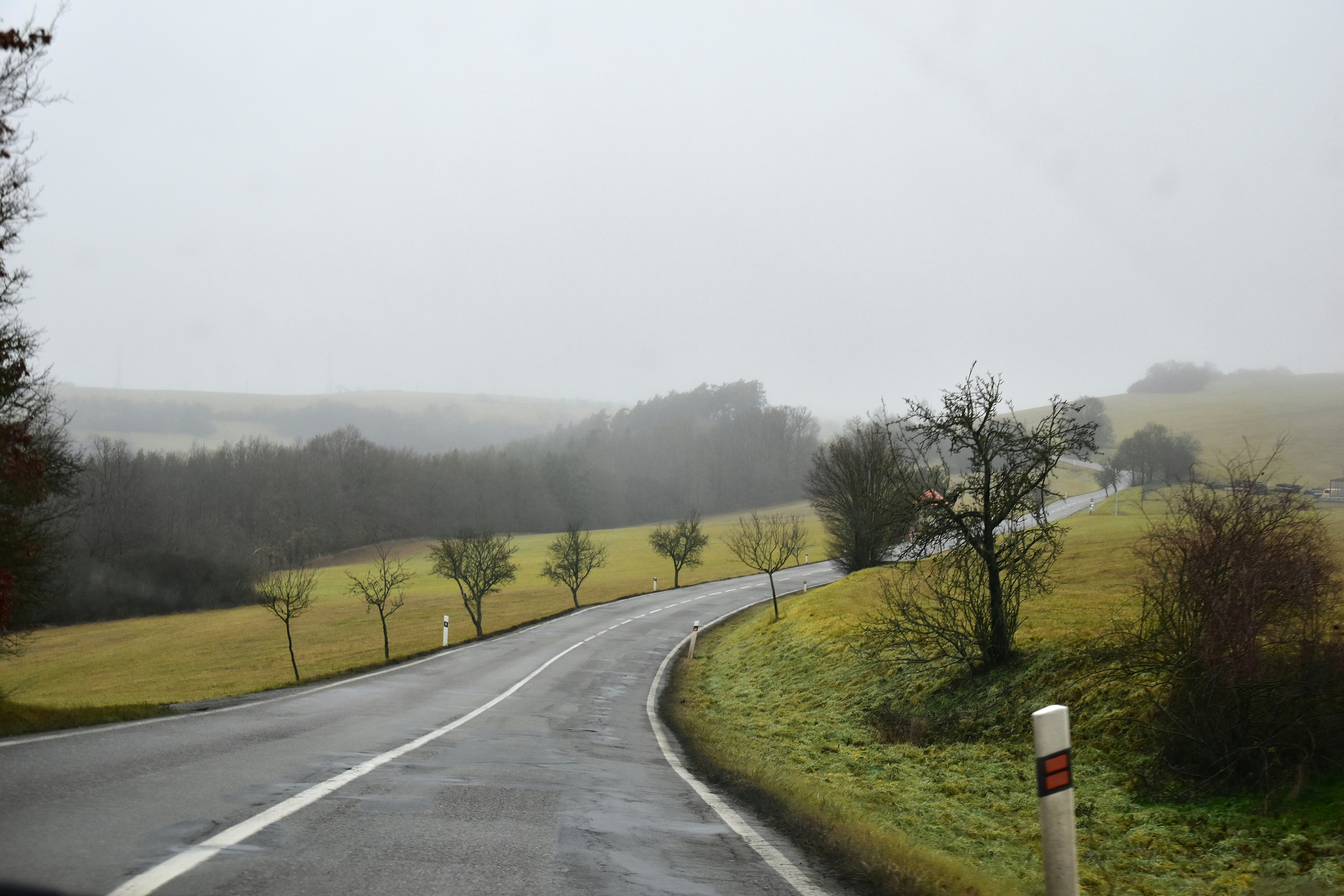 Curving Road Through Misty Countryside