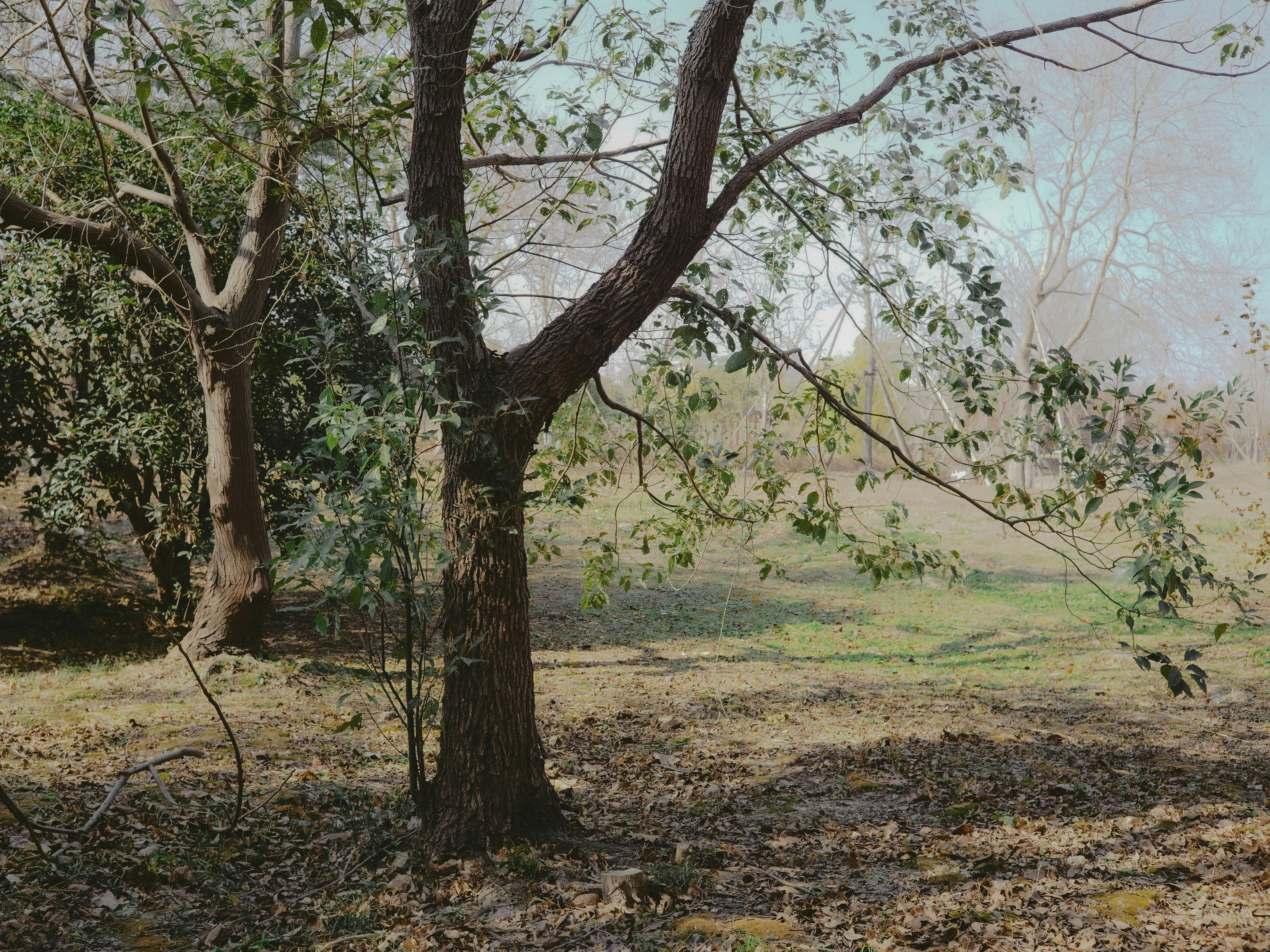 Photo by jiang chen with Leica M10