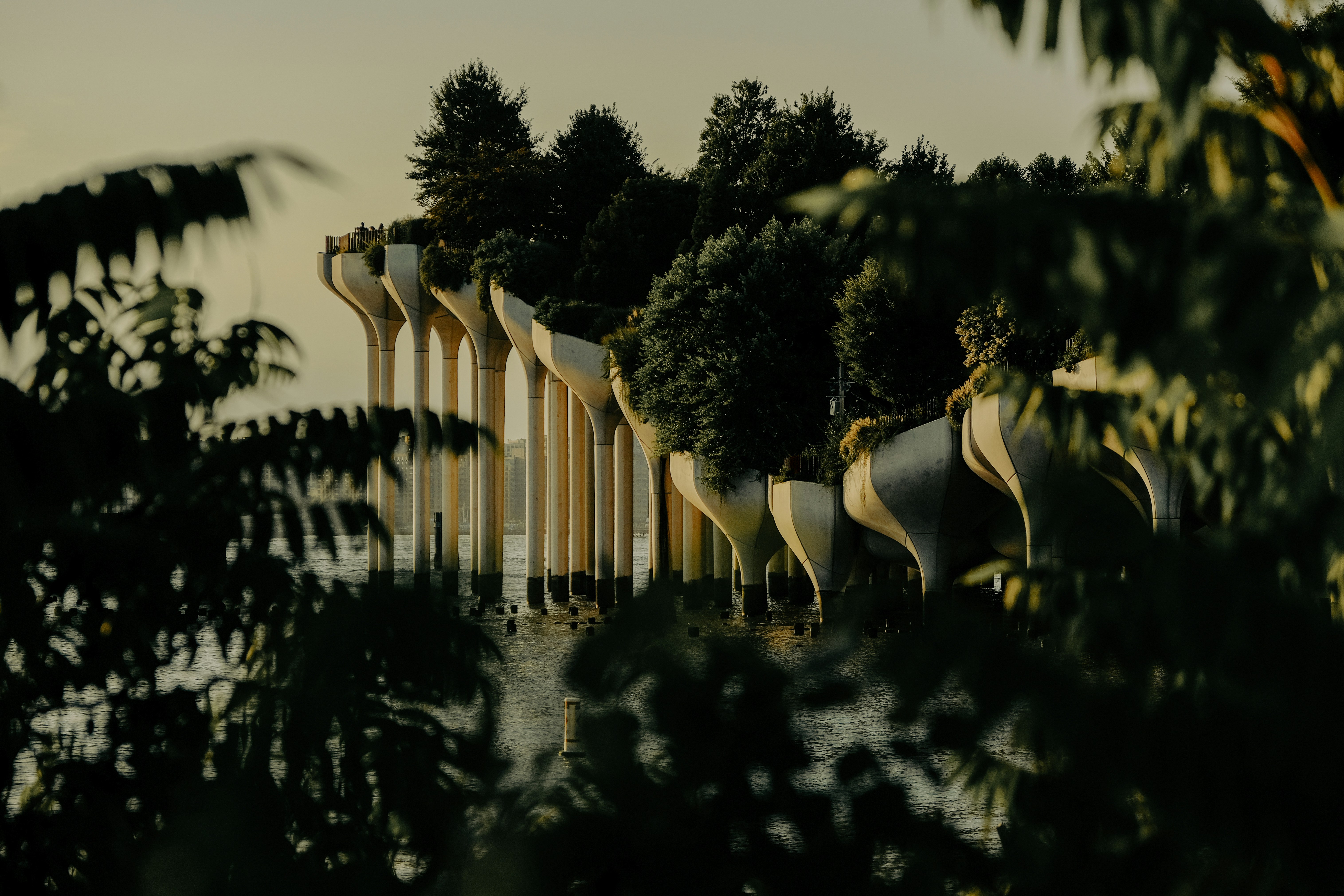 Photo by DANIEL STAPLE with Fujifilm X-T3