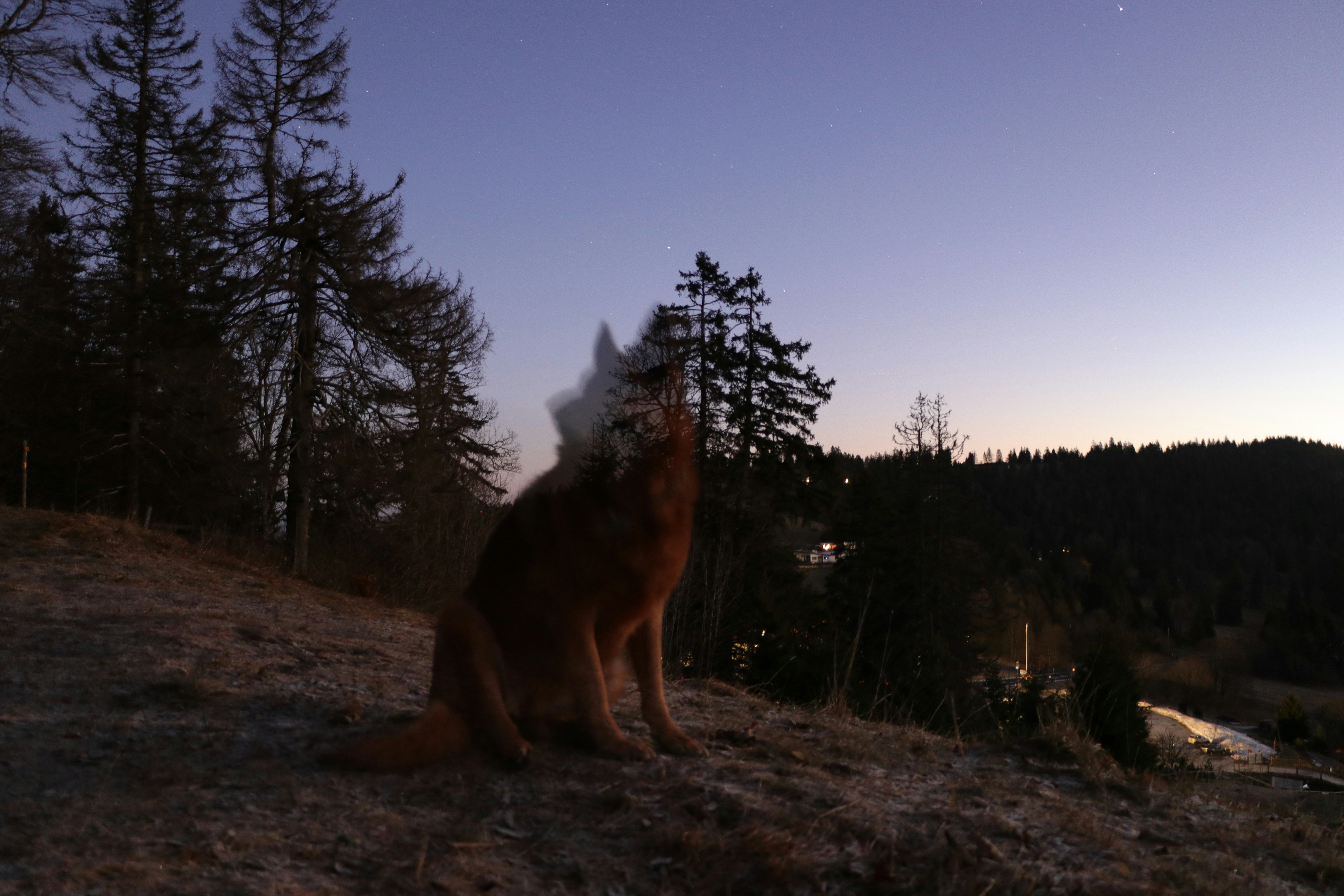 Photo by JVDE with Canon EOS 80D