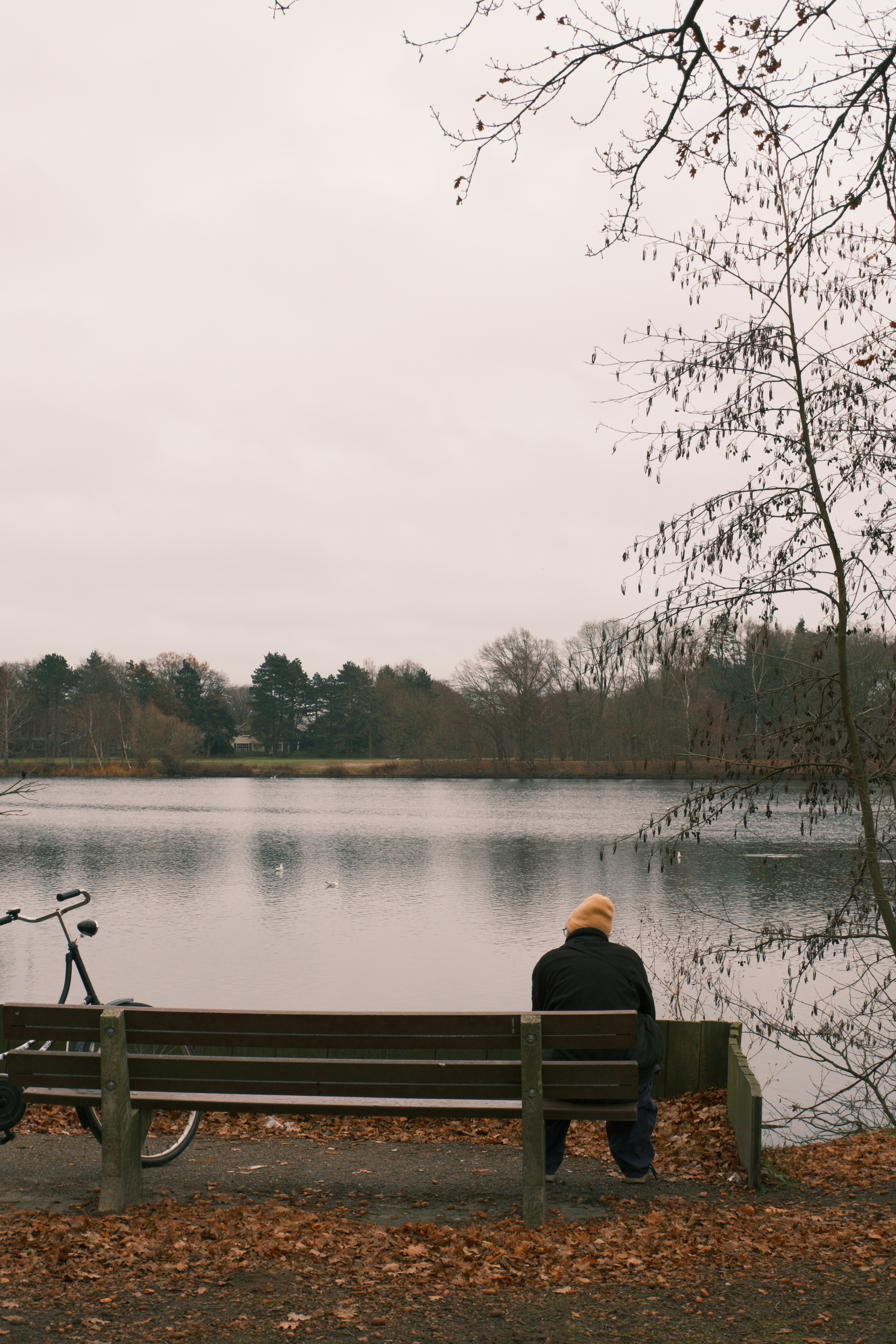 Photo by XinXin with Fujifilm X-T30 III