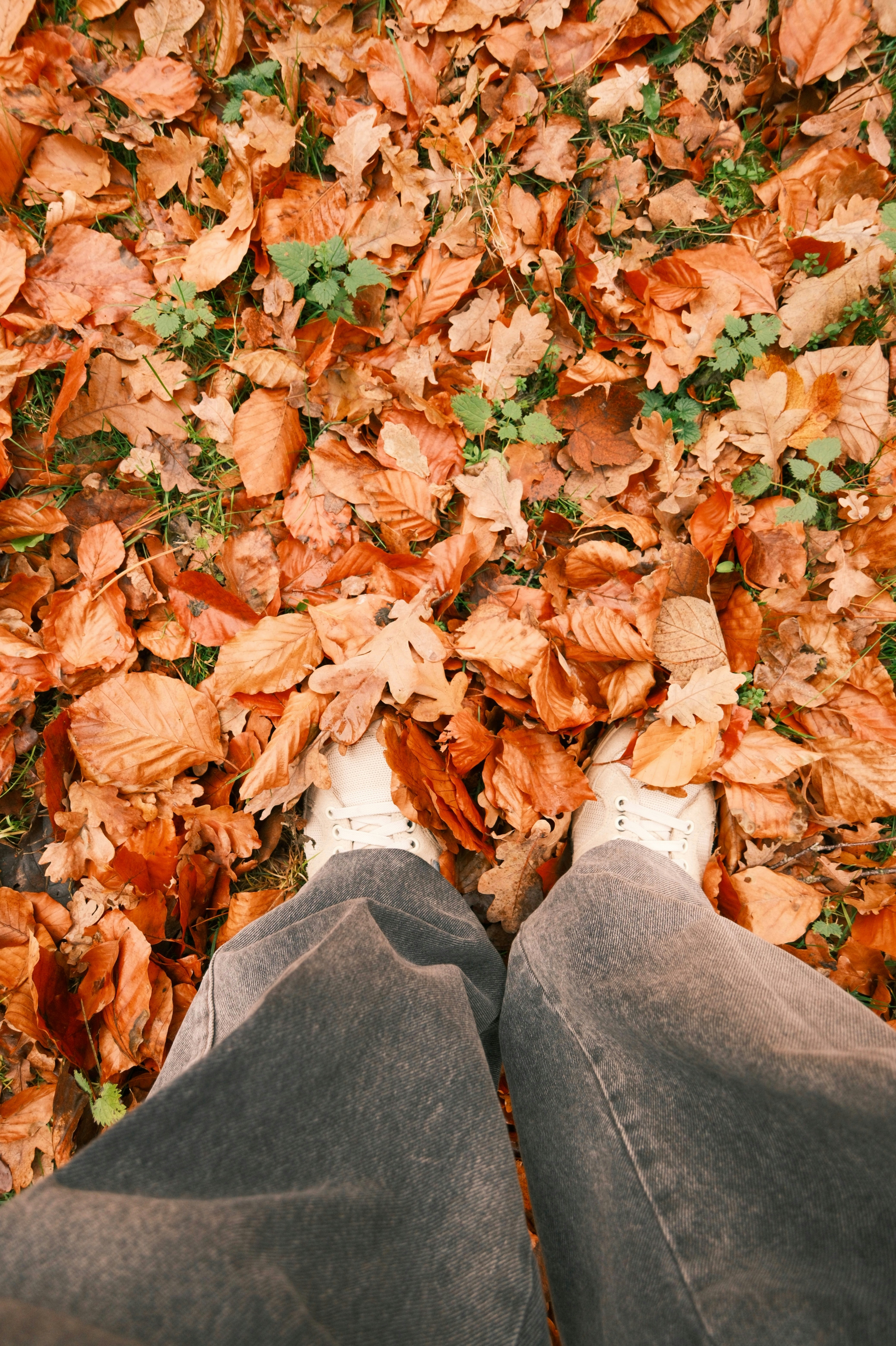 Photo by XinXin with Fujifilm X-T30 III