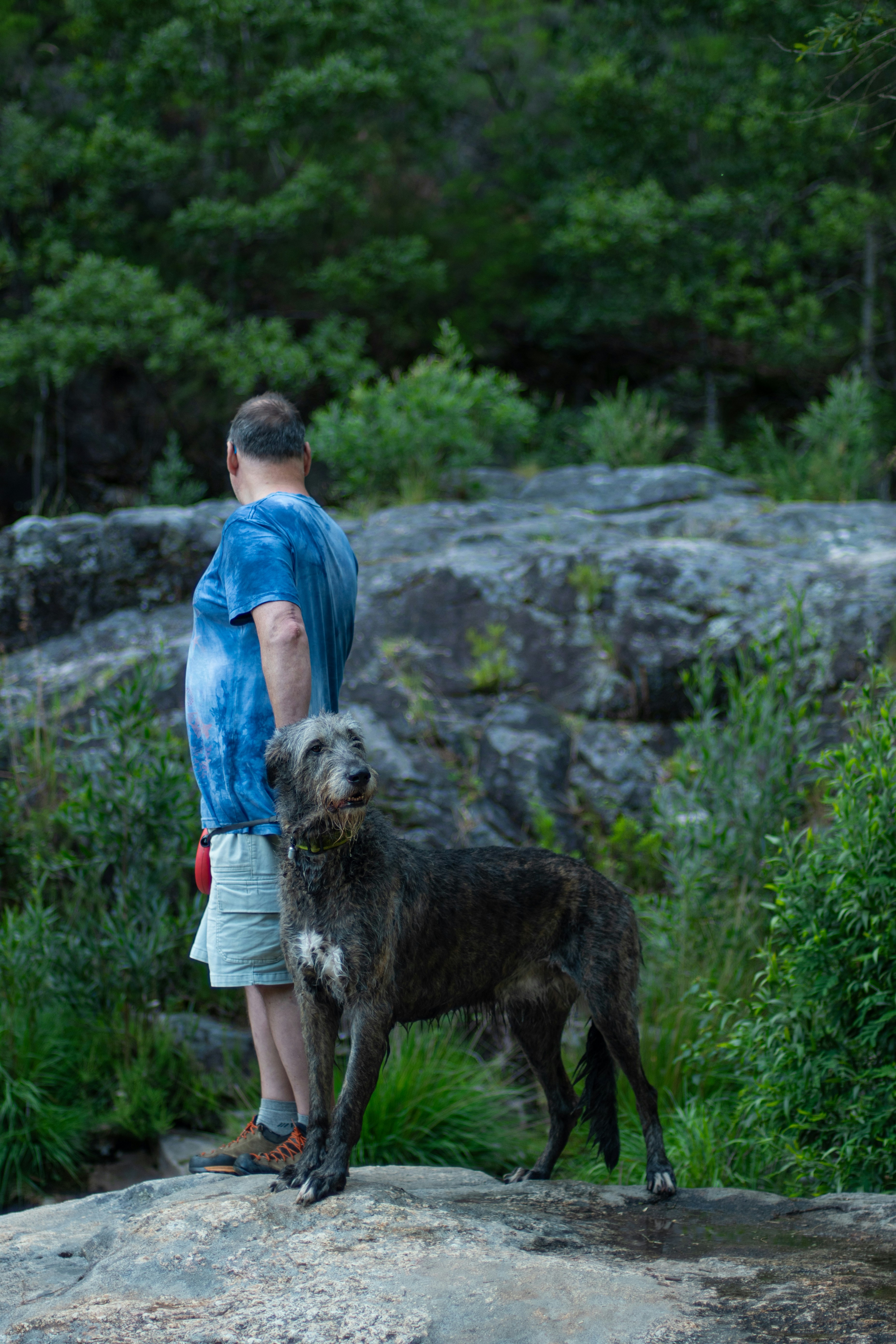 Man with a Hound at Limestone Outcrop