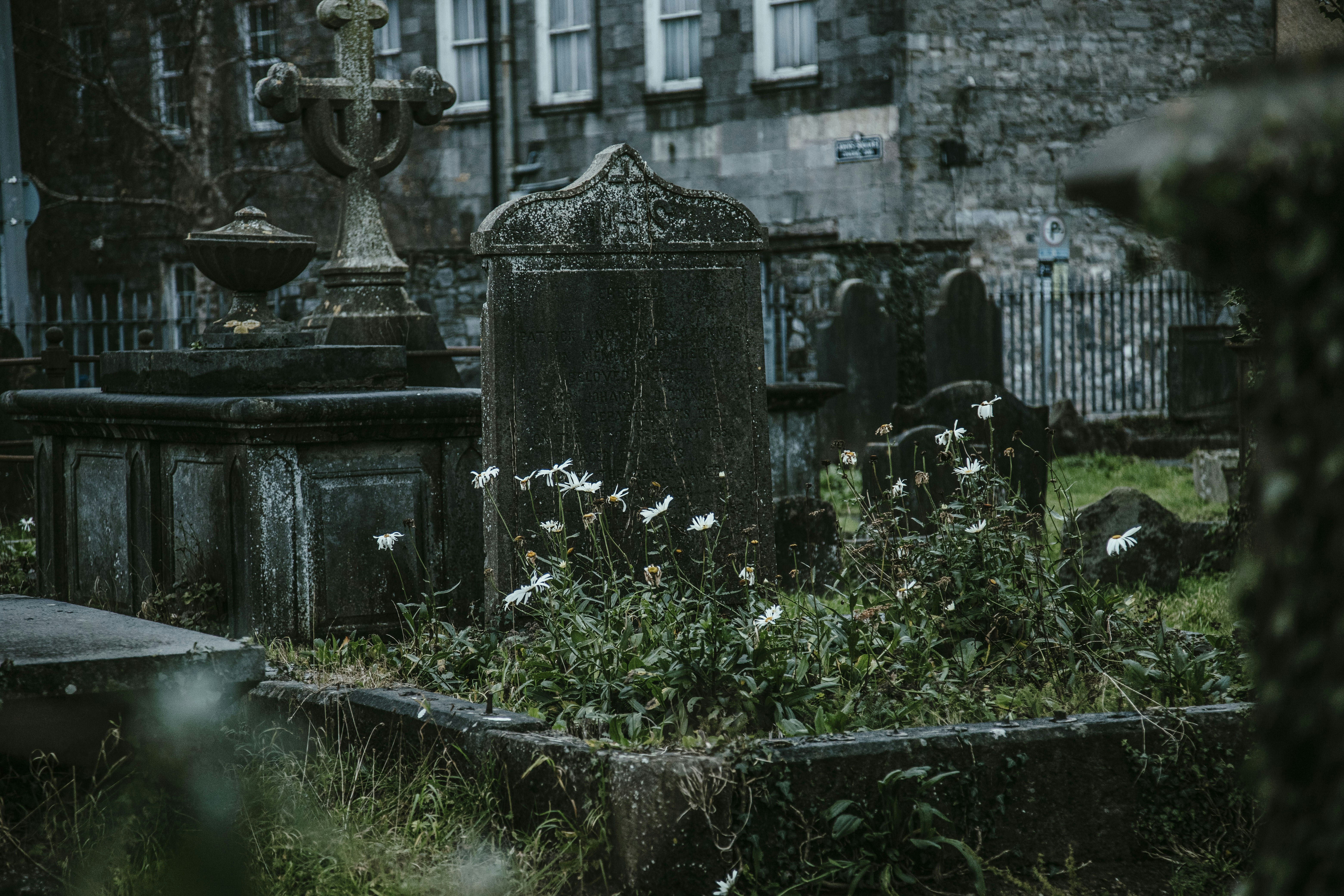 Overgrown Graveyard: White Flowers Amid Weathered Monuments