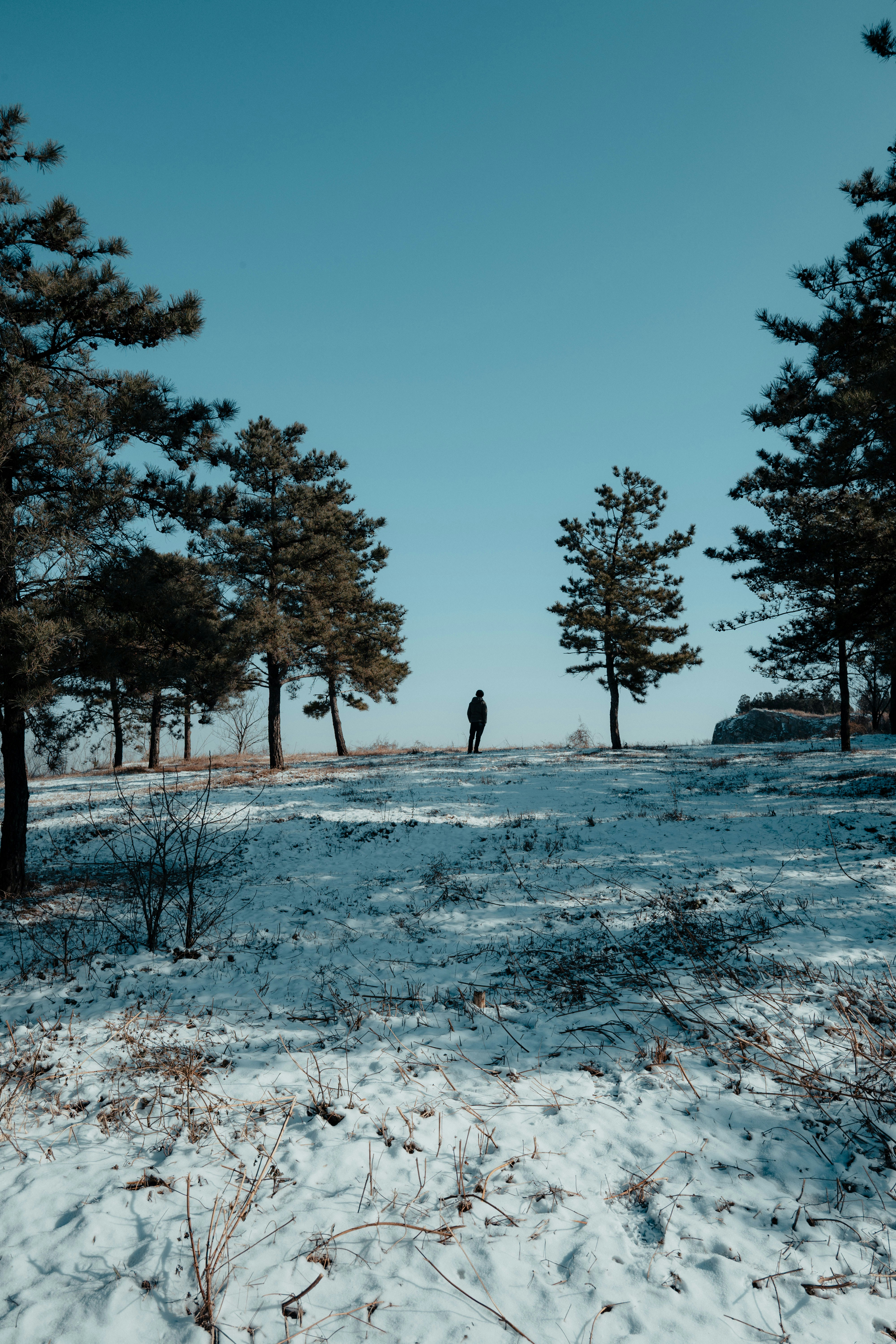 Between Silence and Sky