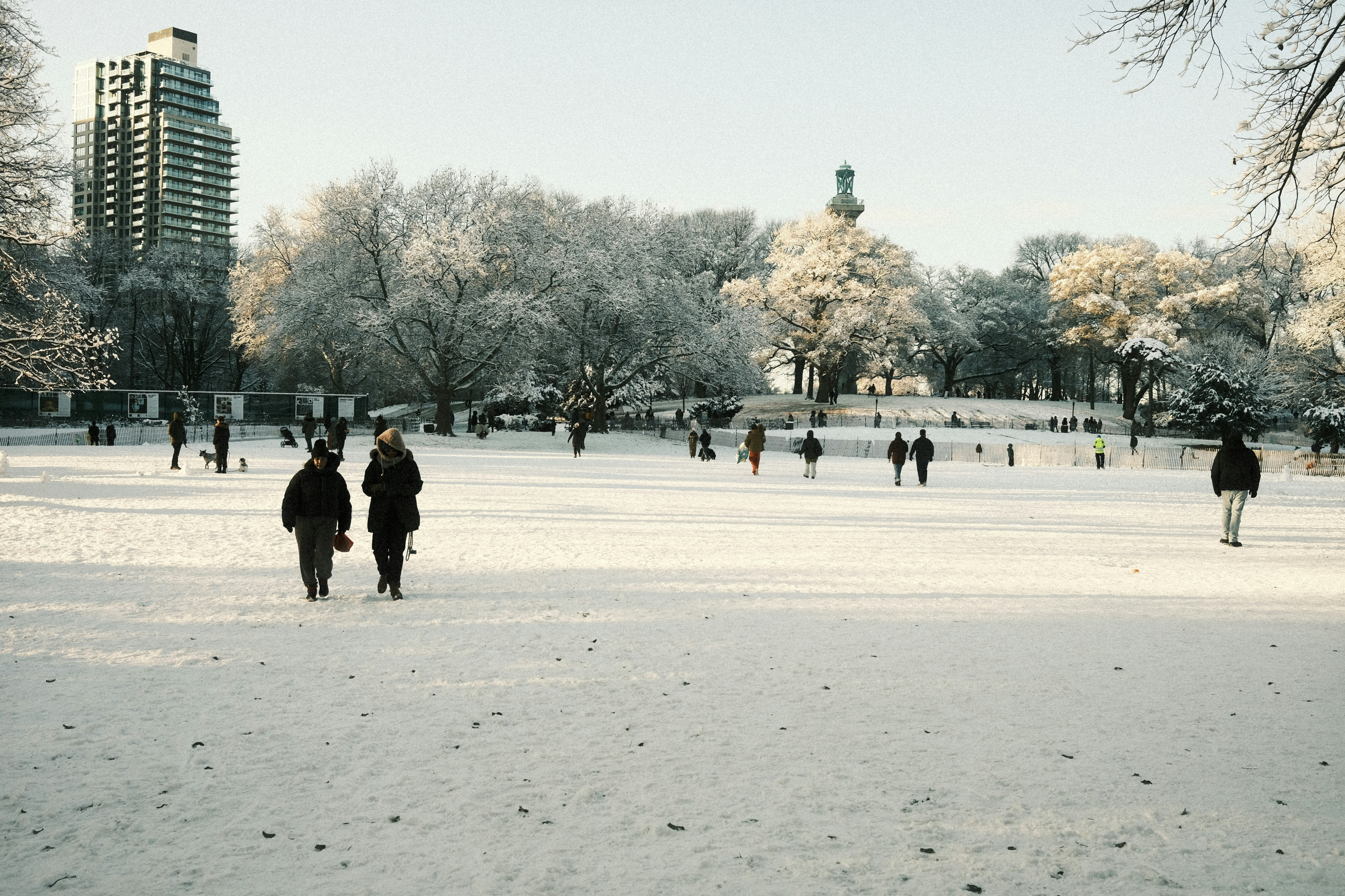 Winter Park in Soft Sepia Light
