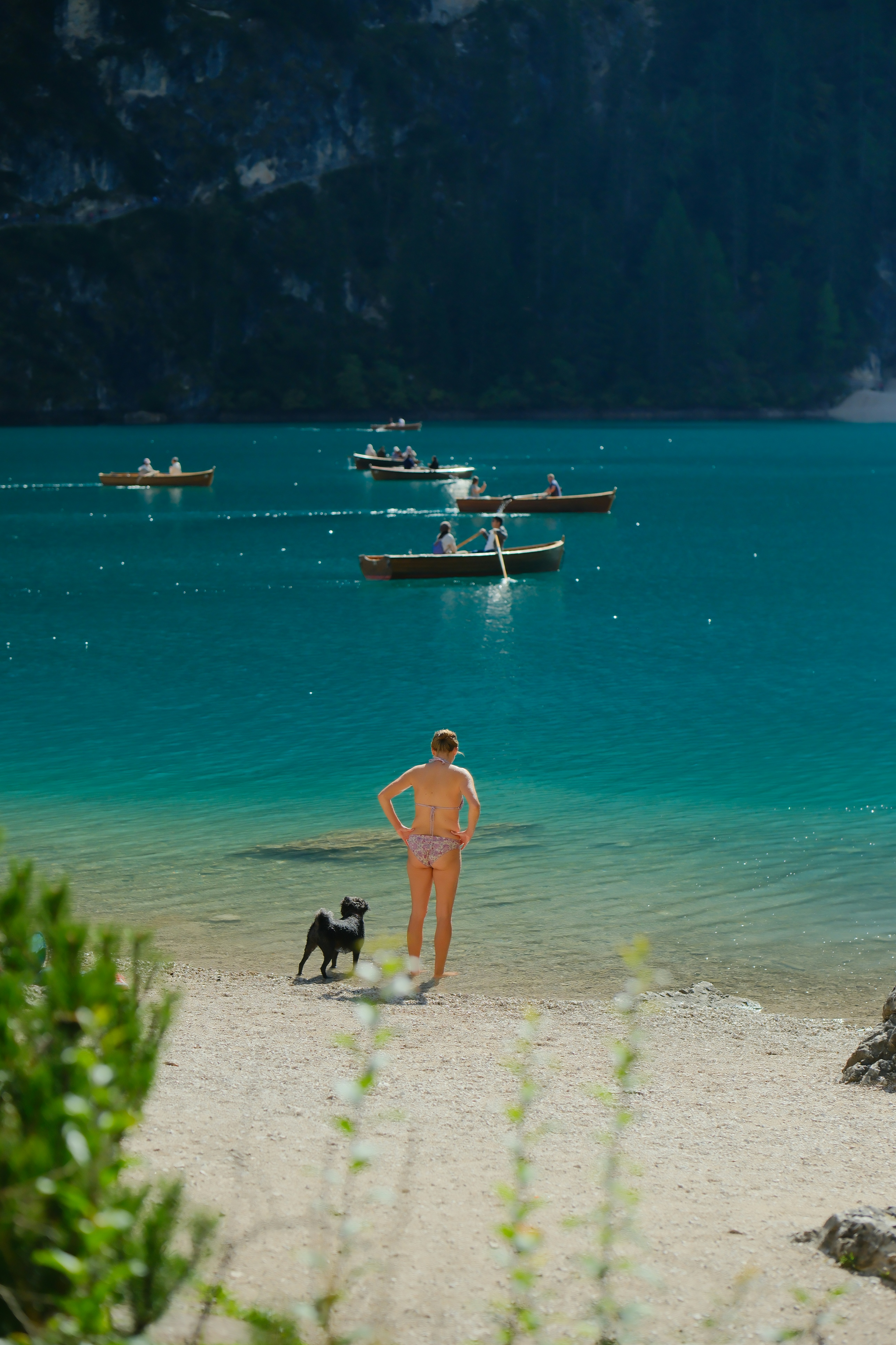 Shoreline Stages: a Woman and Her Dog by Teal Waters