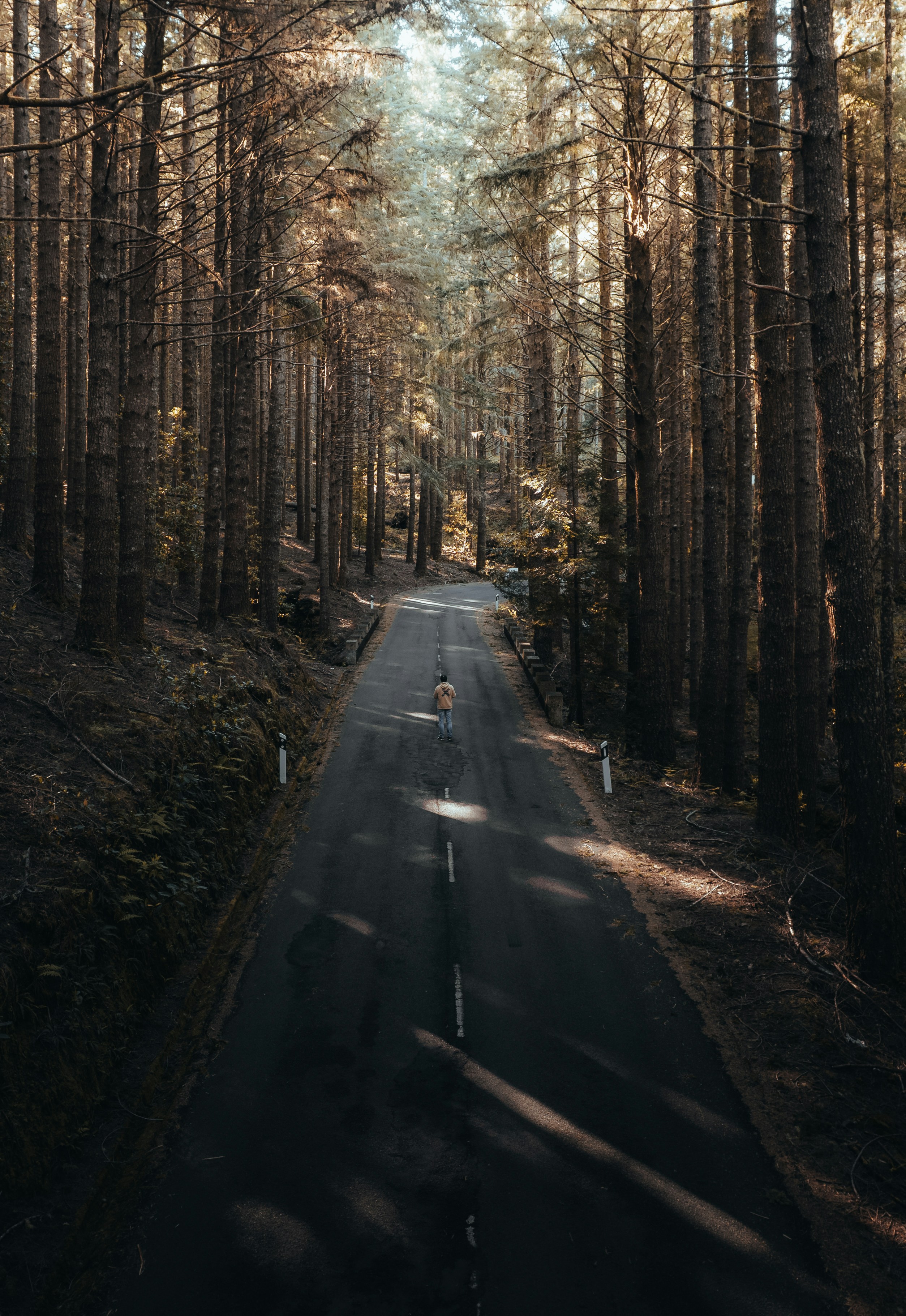 Sometimes the road goes quiet, not because you’re lost, but because you’re exactly where you need to be. Walking through towering trees, with nothing but your footsteps and your thoughts, you realize that travel isn’t always about destinations — it’s about moments like this. Moments when time slows down. When the forest feels endless. When the road ahead reminds you that every journey is personal, even if others have walked it before. This is the beauty of getting off the main path, choosing silence over noise, nature over rush. For backpackers, explorers, and dreamers, this road isn’t empty — it’s full of meaning. Keep walking. Keep exploring. The best stories are written far from the crowds. 🌍✨ #IntoTheWild #BackpackerLife #SoloJourney #NatureEscape #RoadLessTraveled #ForestVibes #TravelSlow #ExploreMore