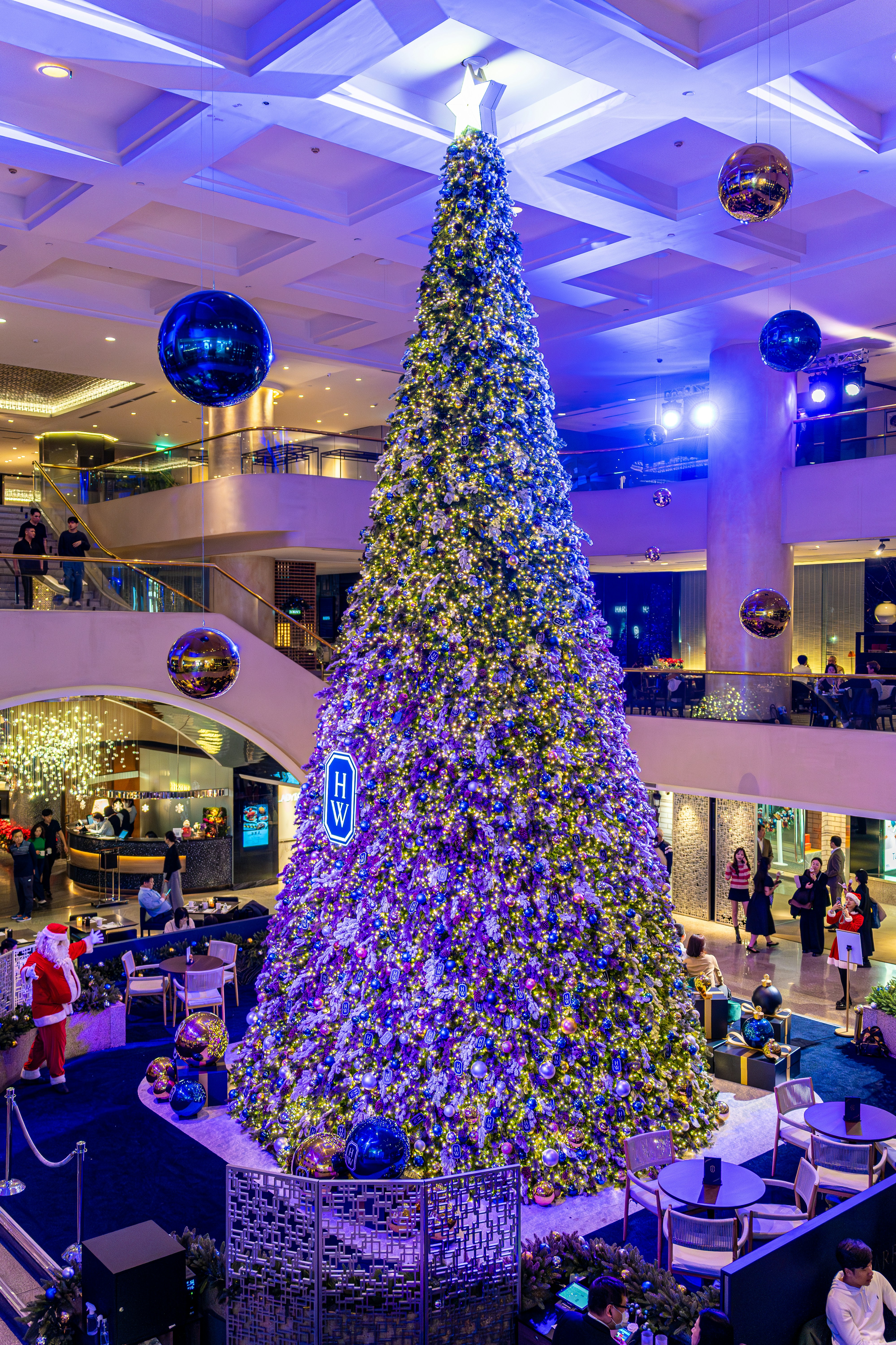 Photo by Winston Chen with Sony Alpha 7 III