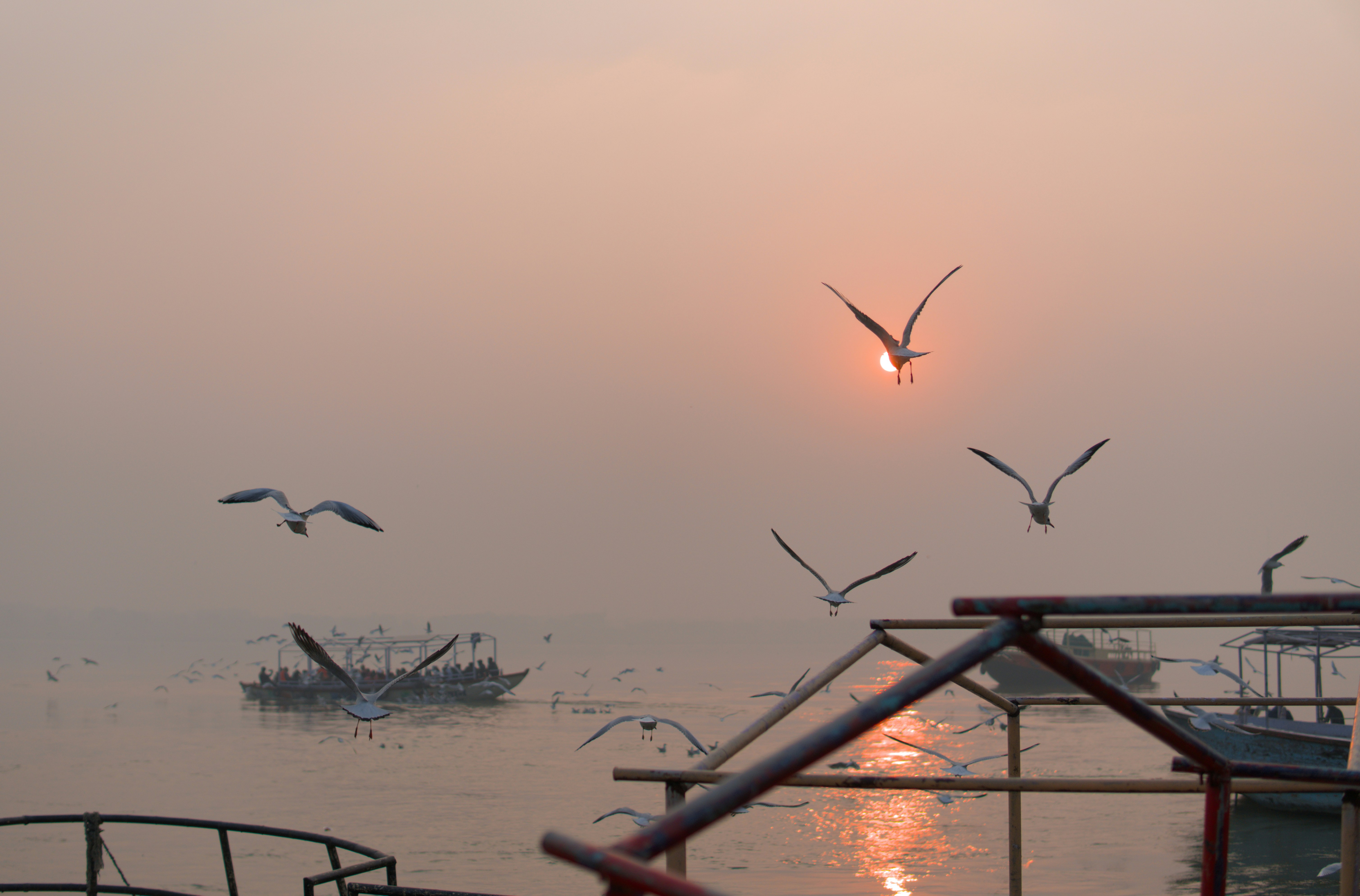 Photo by Harsh Khandelwal with Sony Alpha 6700