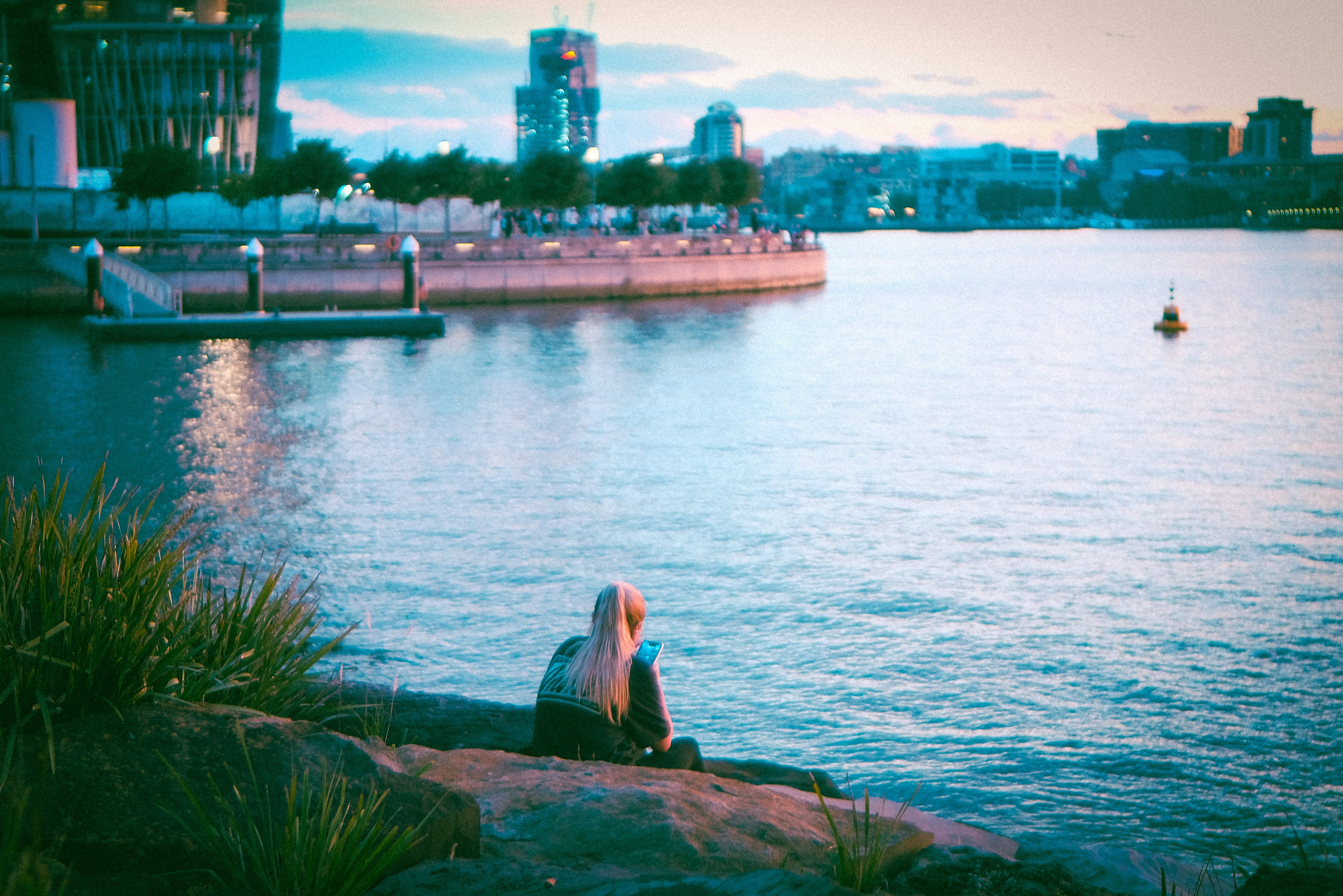 Harbor Quiet: A lone observer at the water's edge