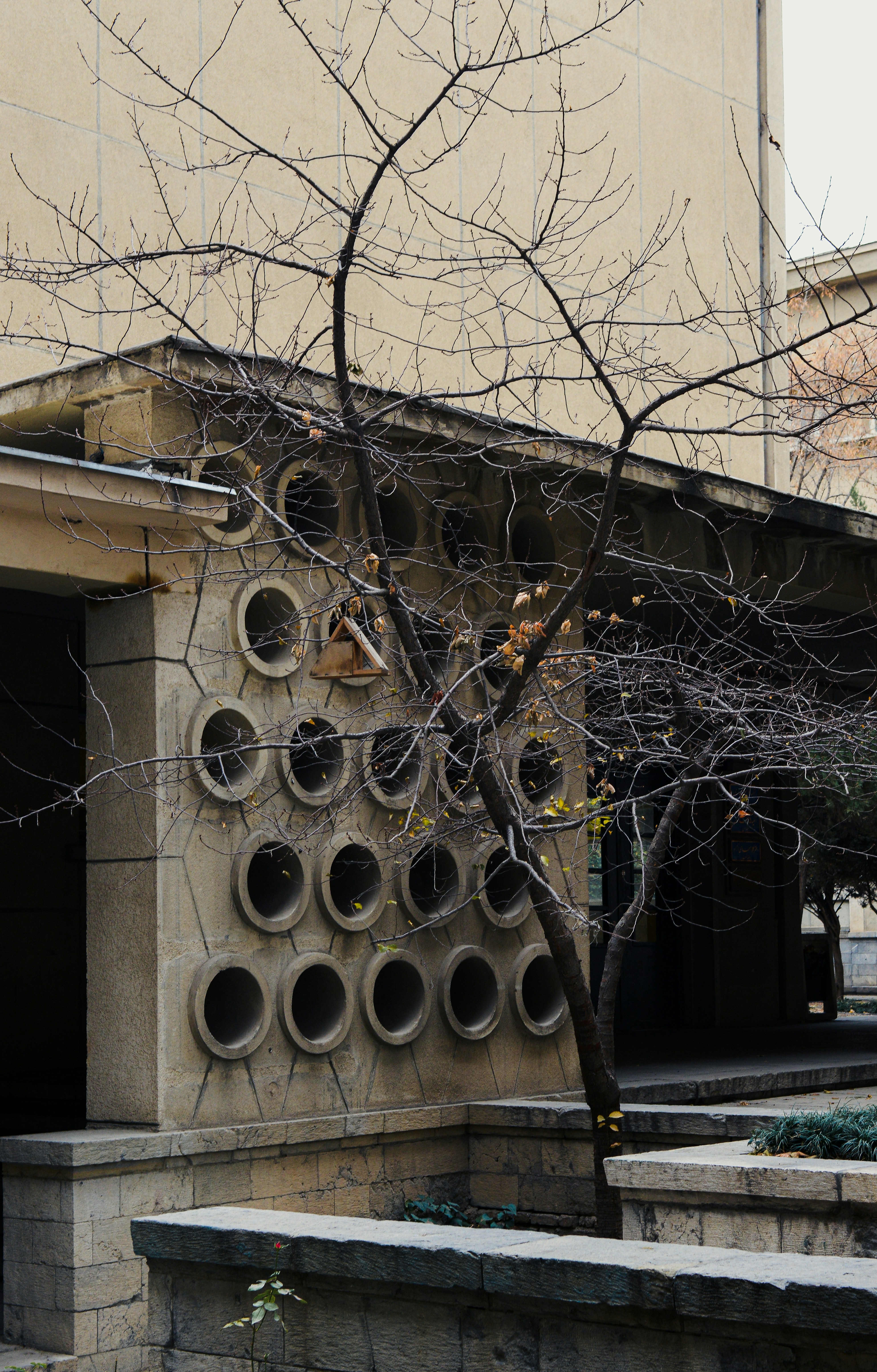 Concrete circles and a bare tree frame a quiet courtyard