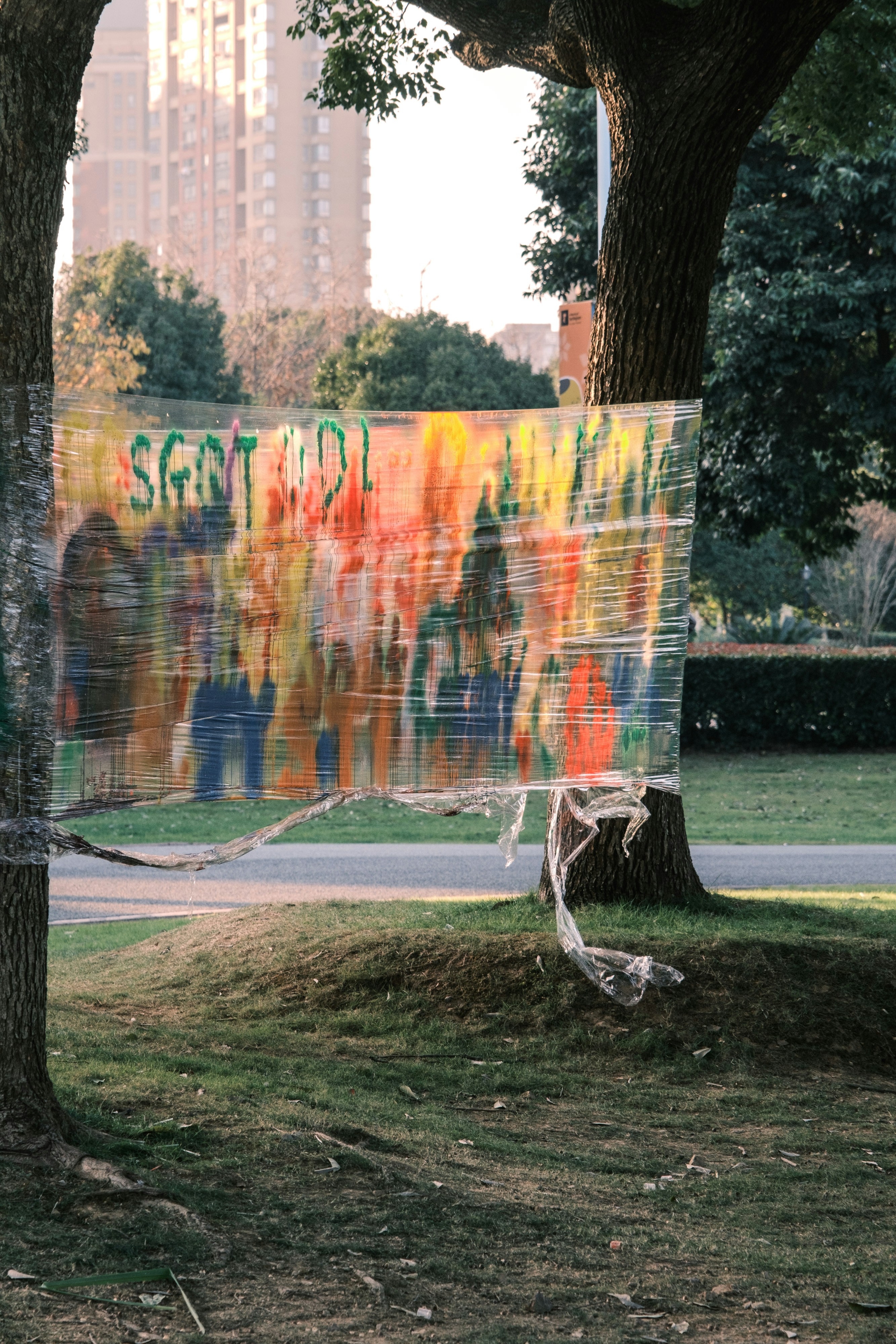 Colorful Plastic Curtain Between Trees in City Park