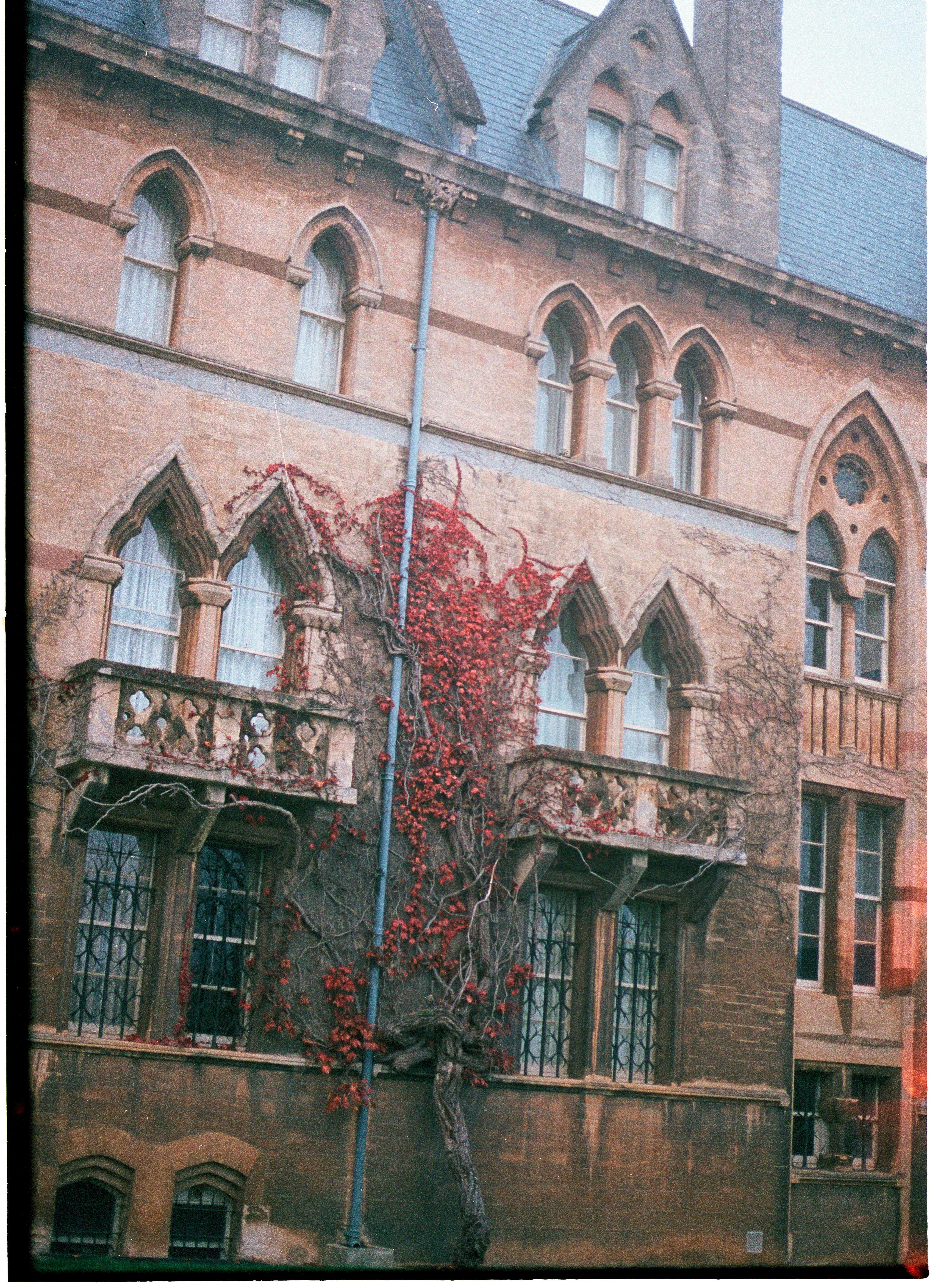 Historic building with ivy and balconies