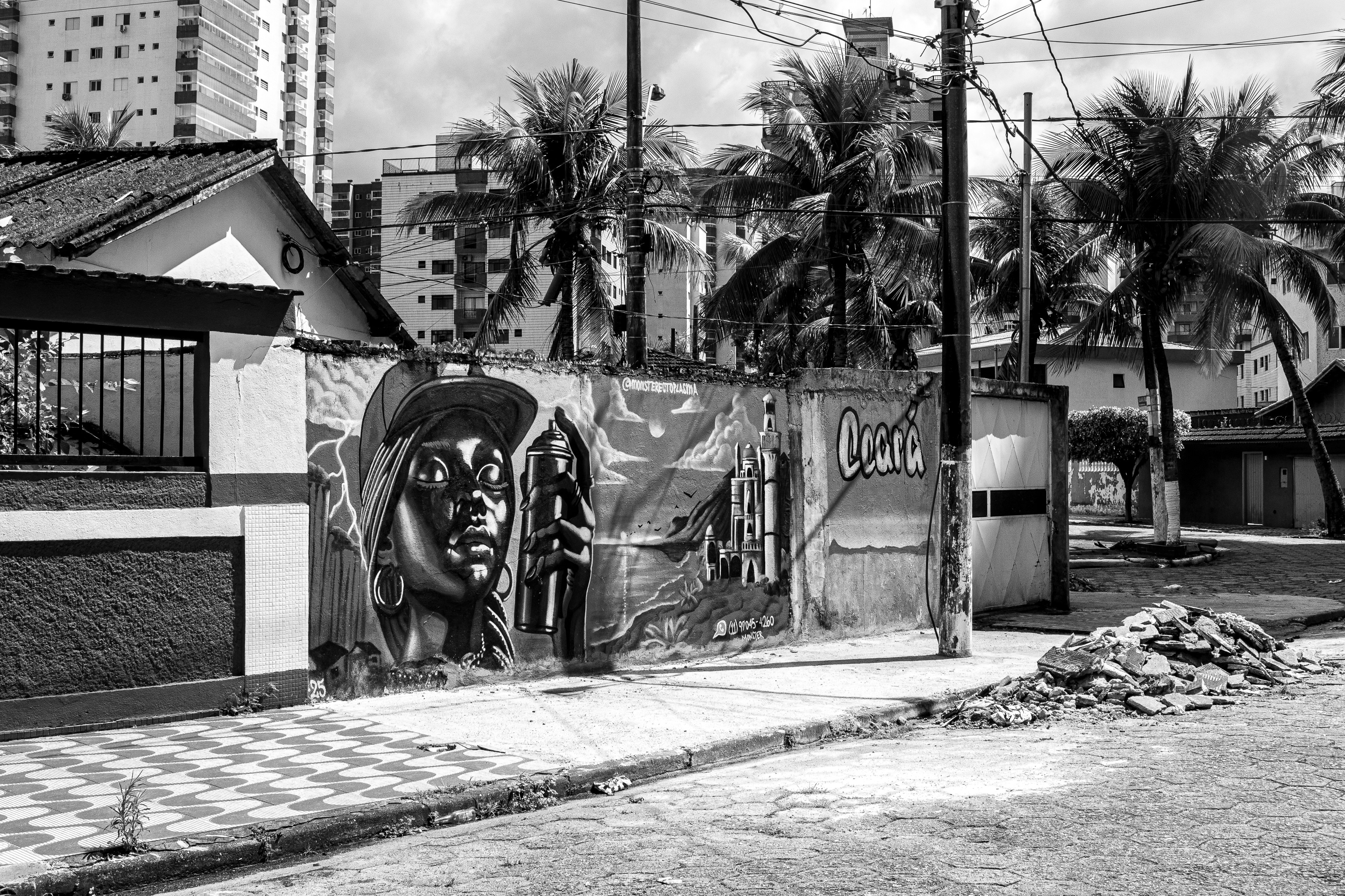 Graffiti Portrait by the Palm-Washed Wall