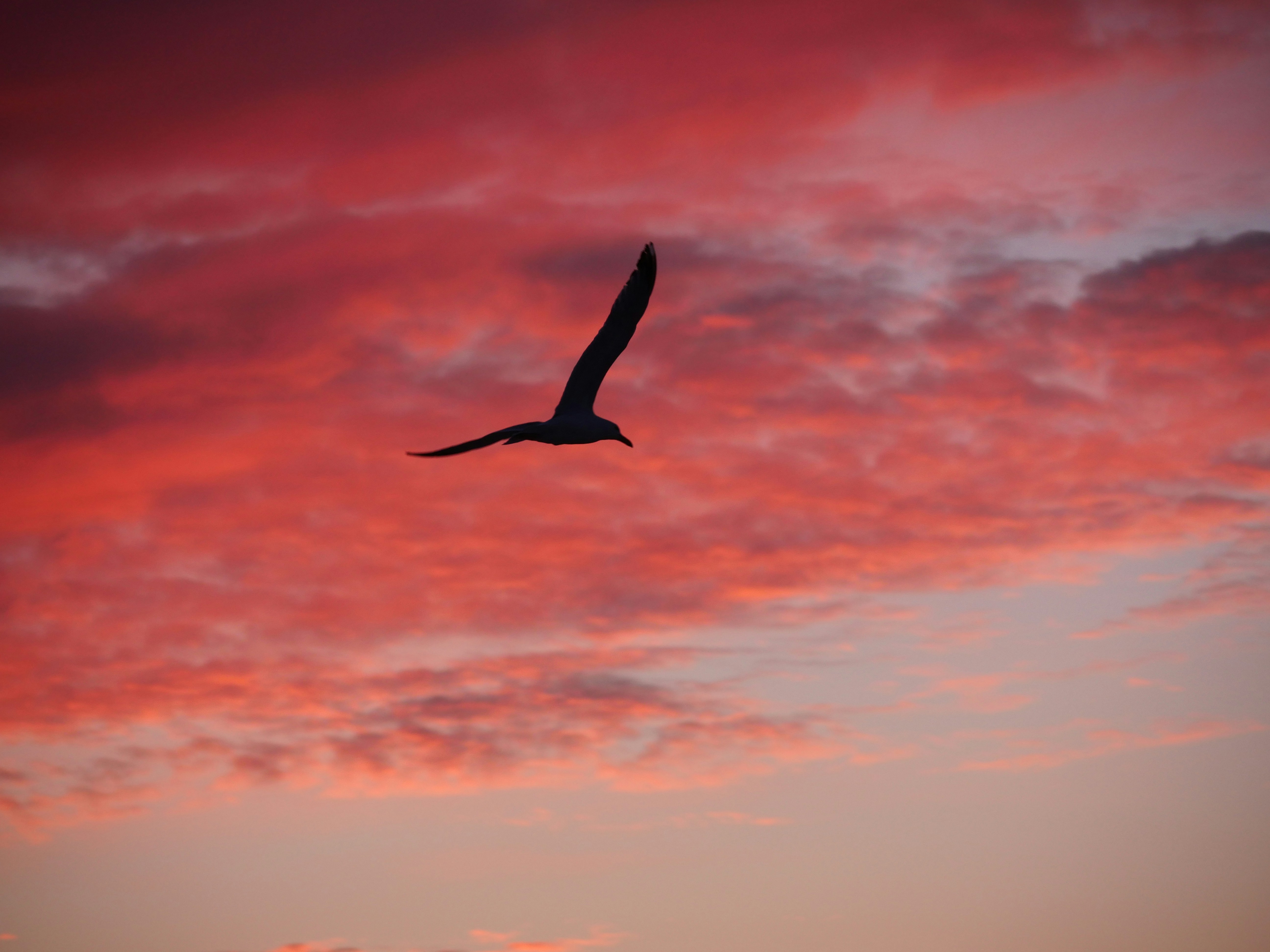 Photo by Rafael Garcin with Panasonic Lumix G91