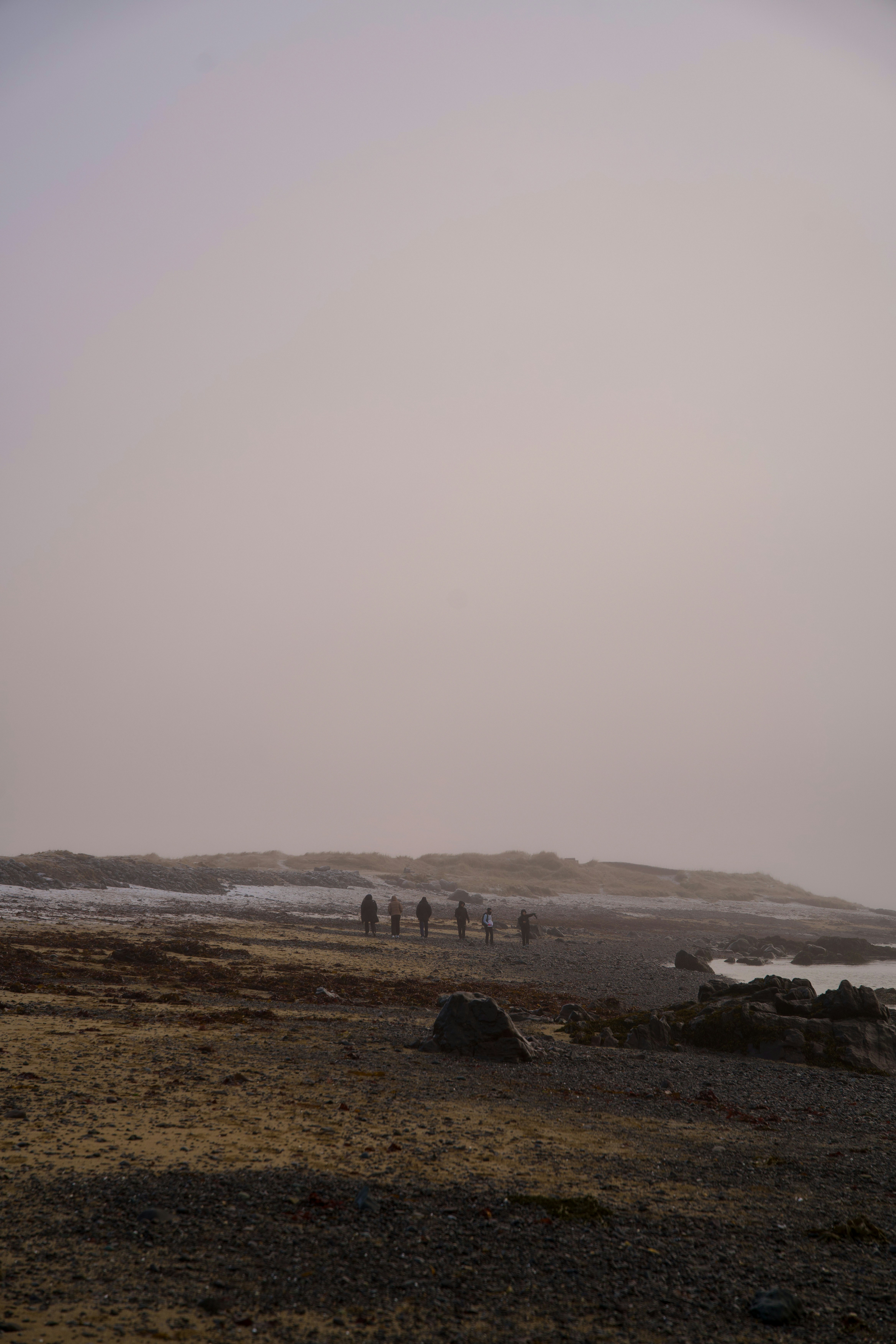 Silhouetted Figures on a Misty Shoreline