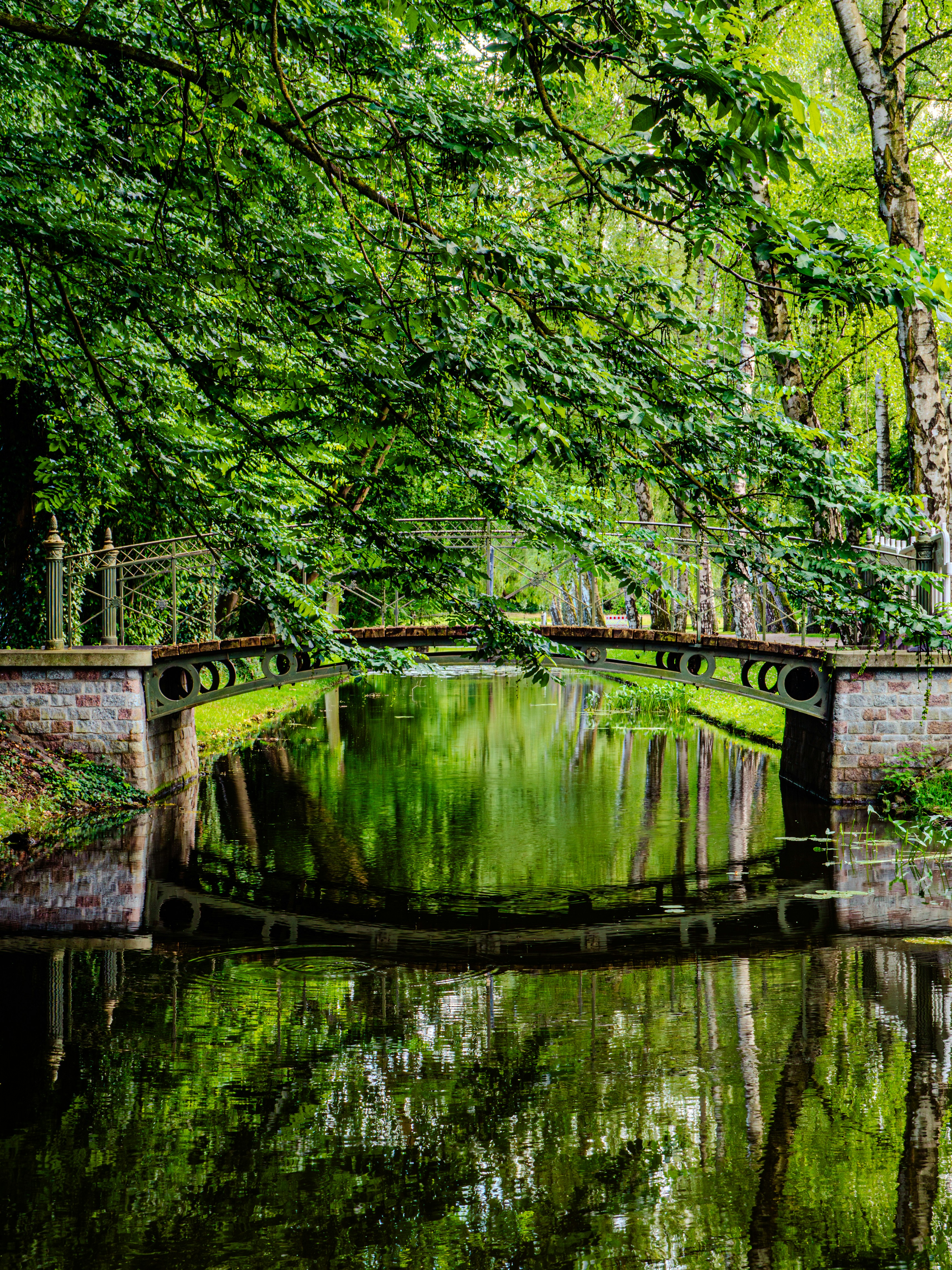 a bridge over a canal in a lush park