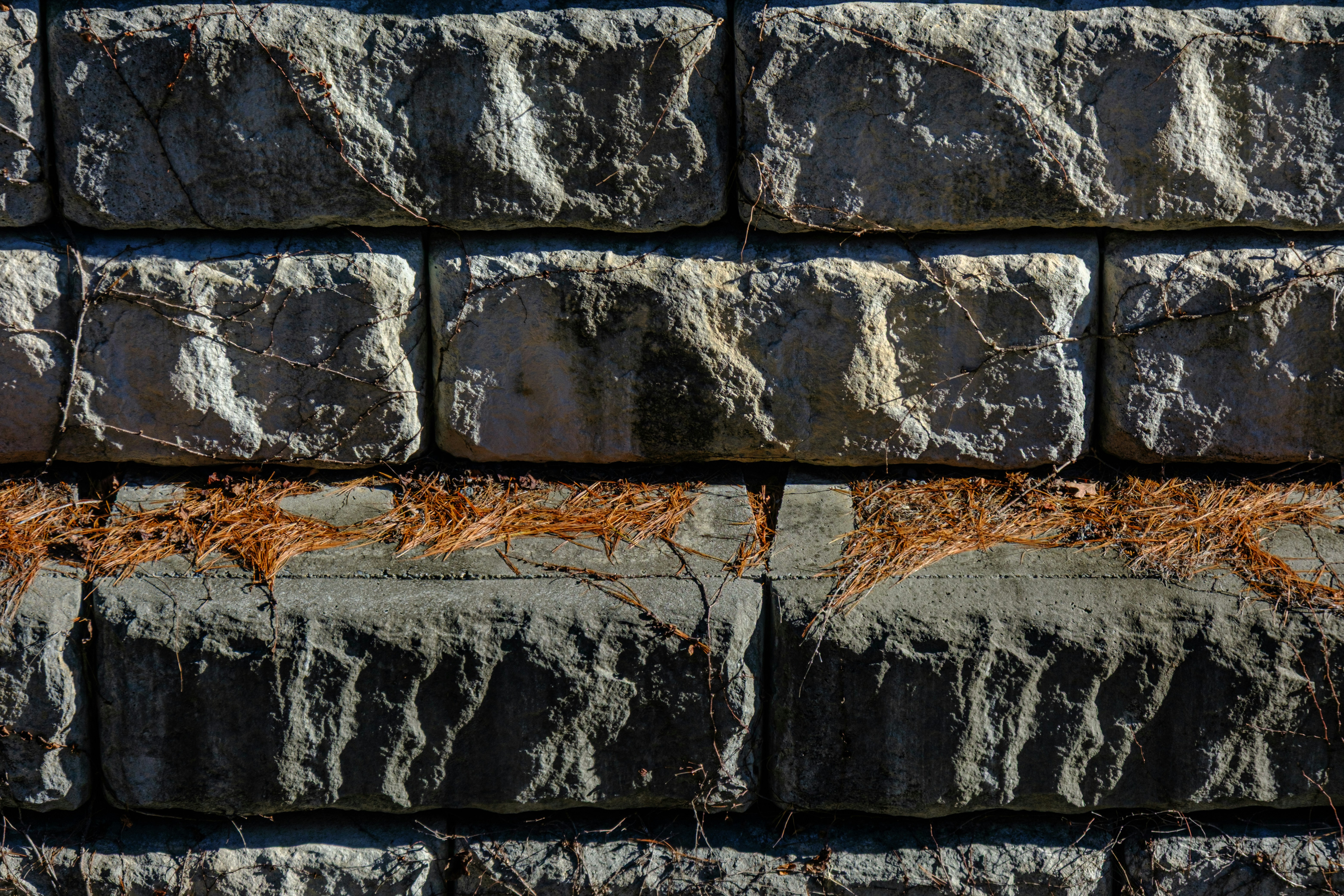 Weathered Granite Ridges: Light, Shadow, and Fracture
