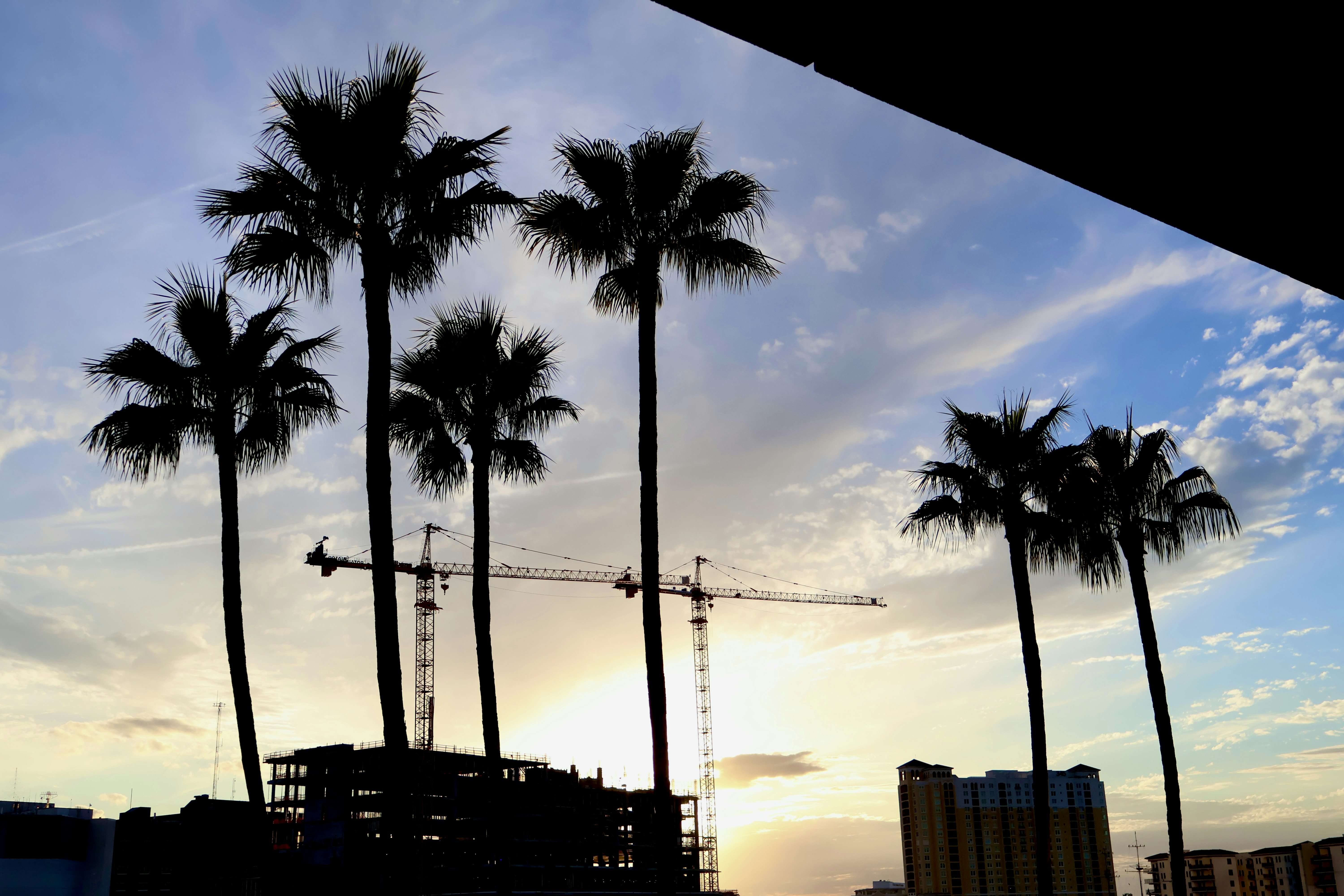 Photo by Sina Neshat with Canon EOS R50