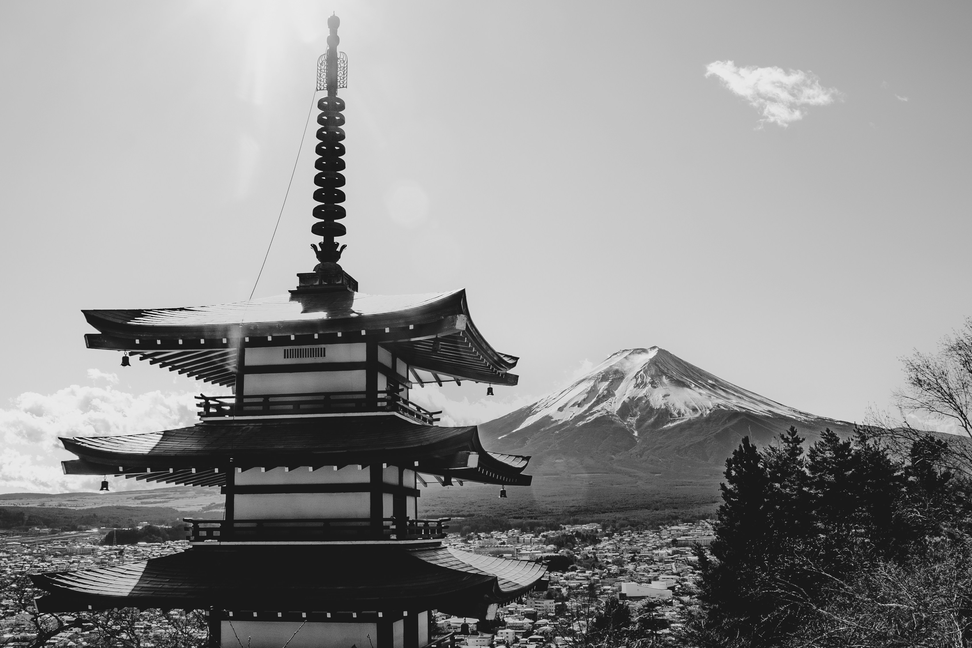 Photo by Joaquin Arenas with Sony Alpha 7 IV