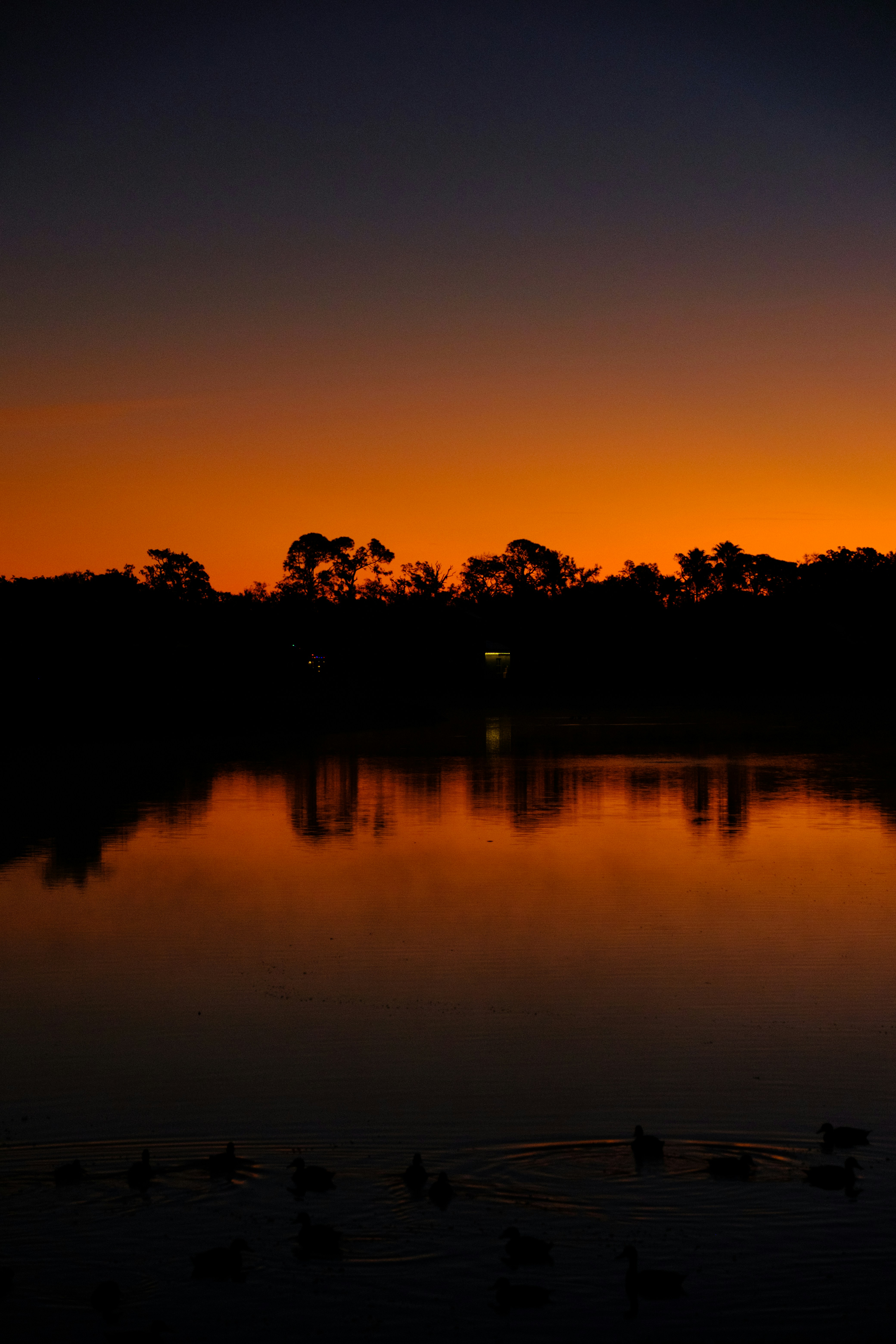 Silhouette at Dusk: Fire-orange Horizon Over Quiet Waters