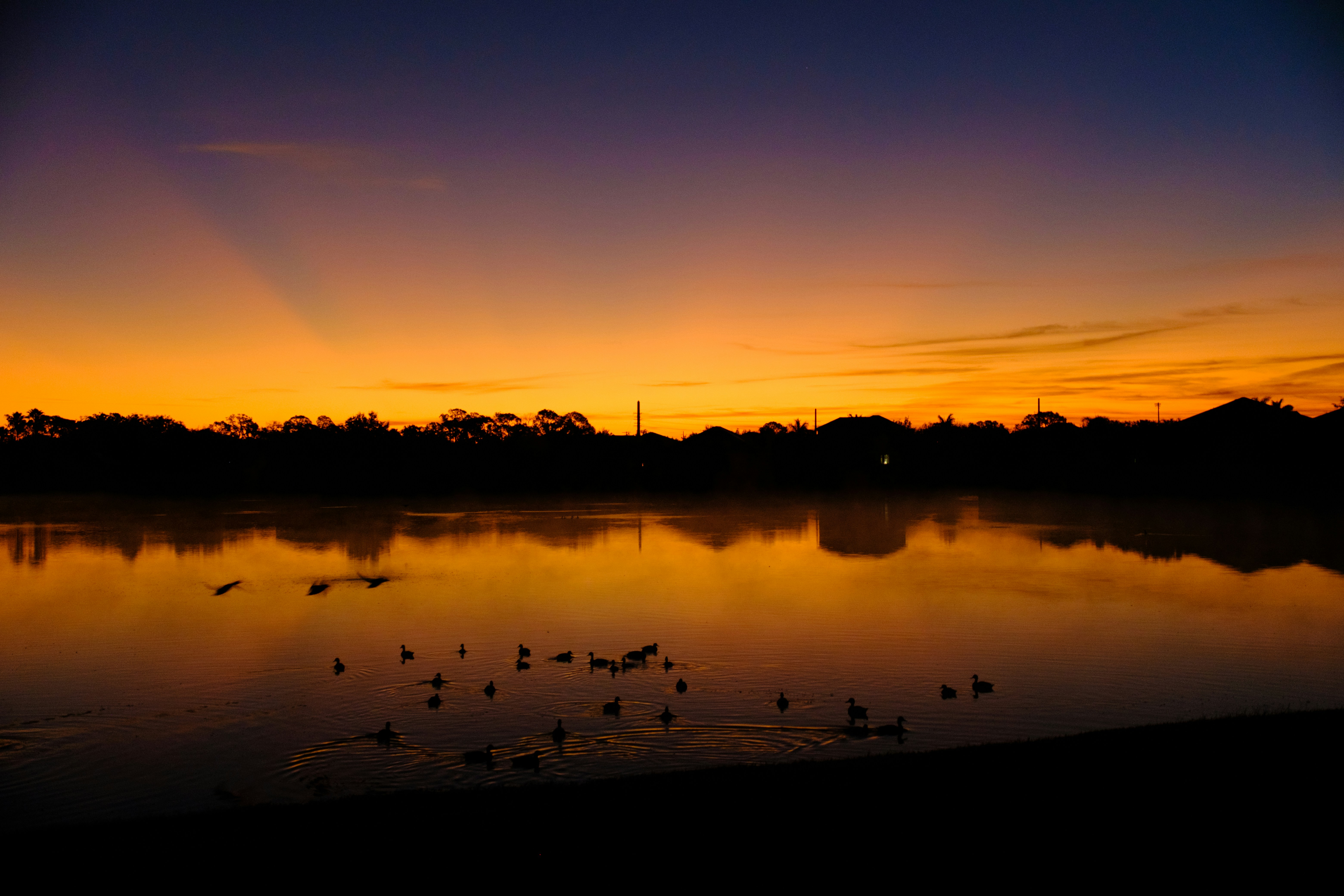 Silhouette at Dusk: Birds, Water, and a Quiet Horizon
