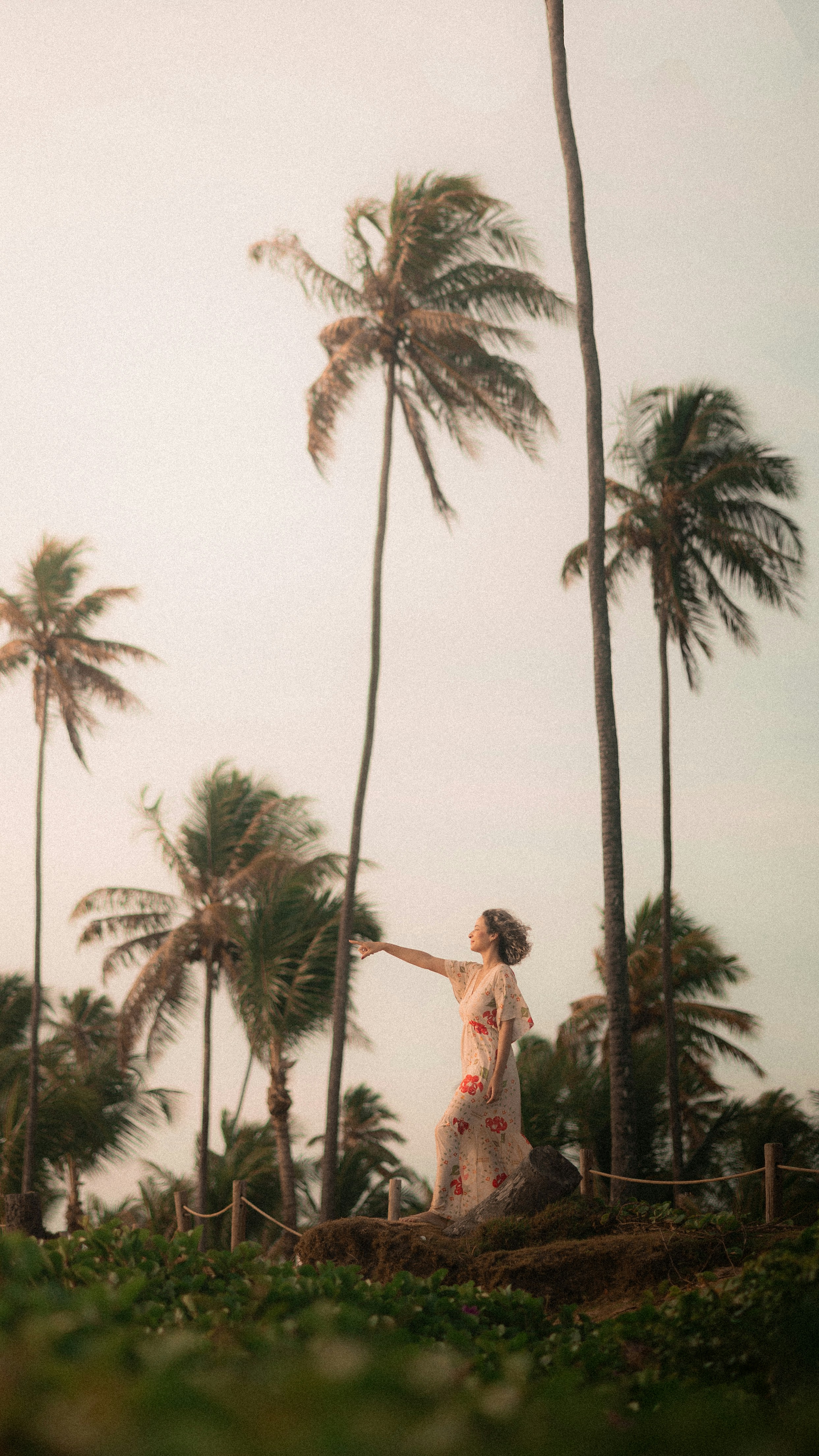 Palm-warrior on the dune: a solitary figure reaches toward the tropics