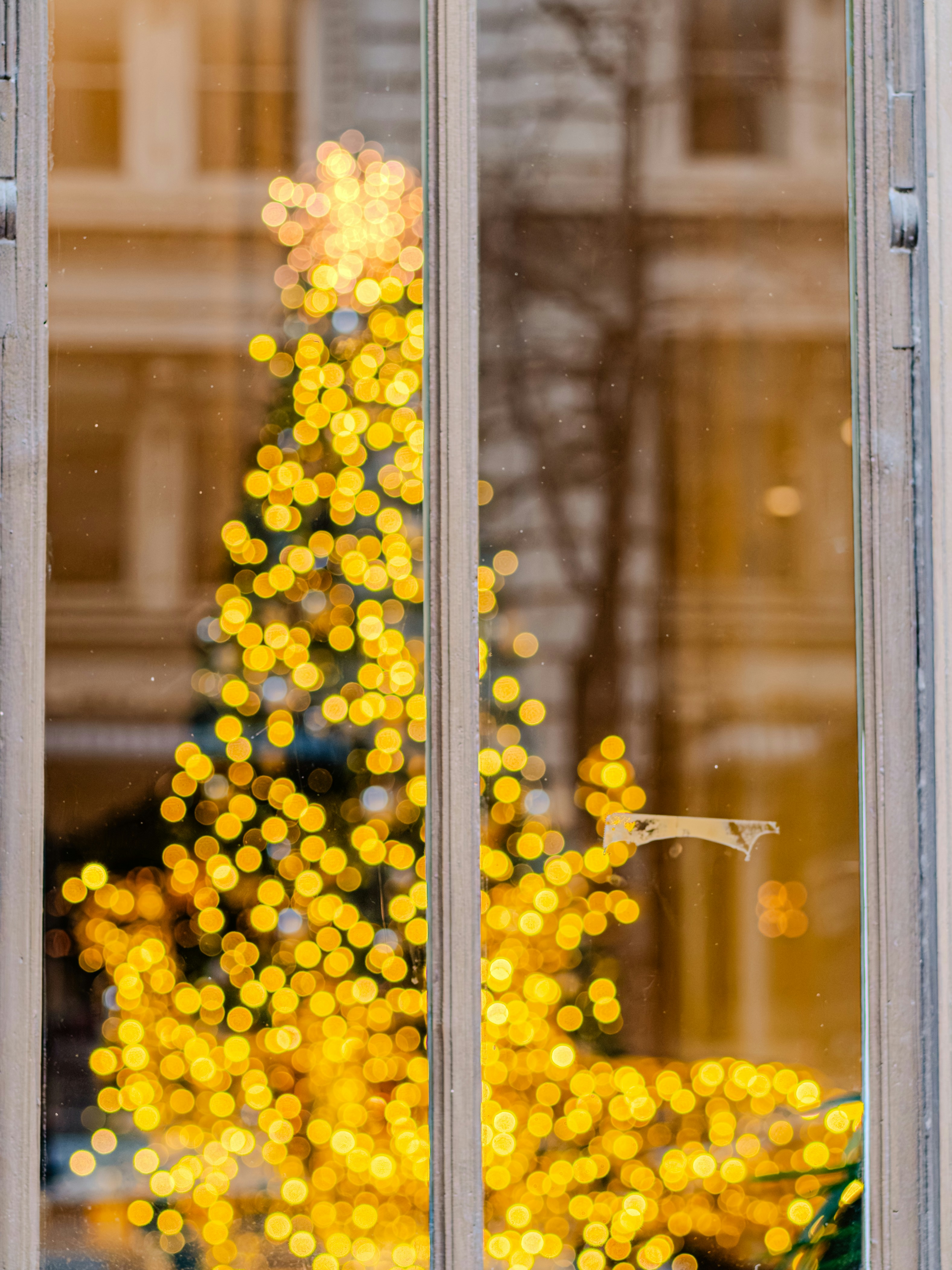 a window with Christmas lights in the background