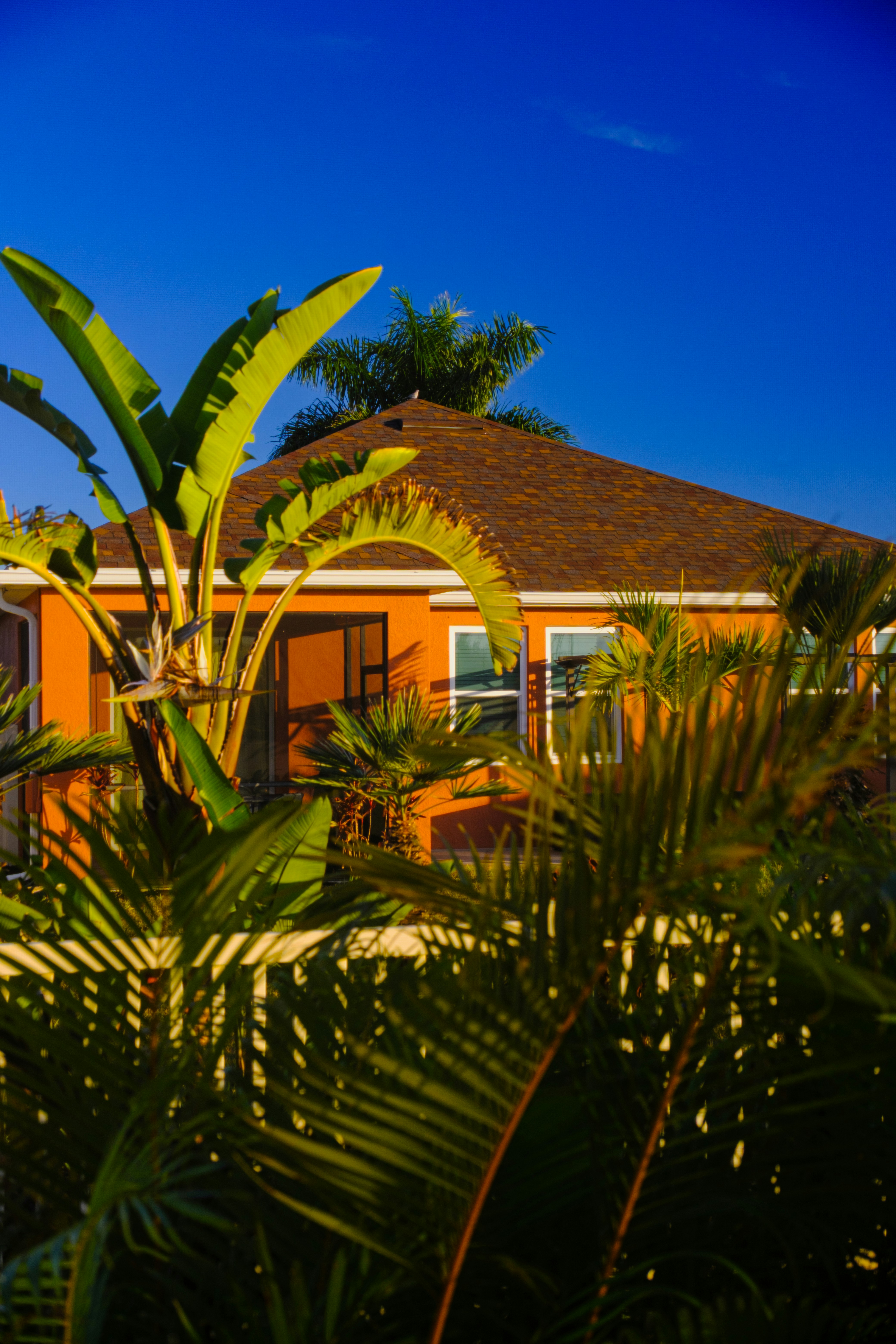 Photo by MICHAEL CHIARA with Fujifilm X-H2S