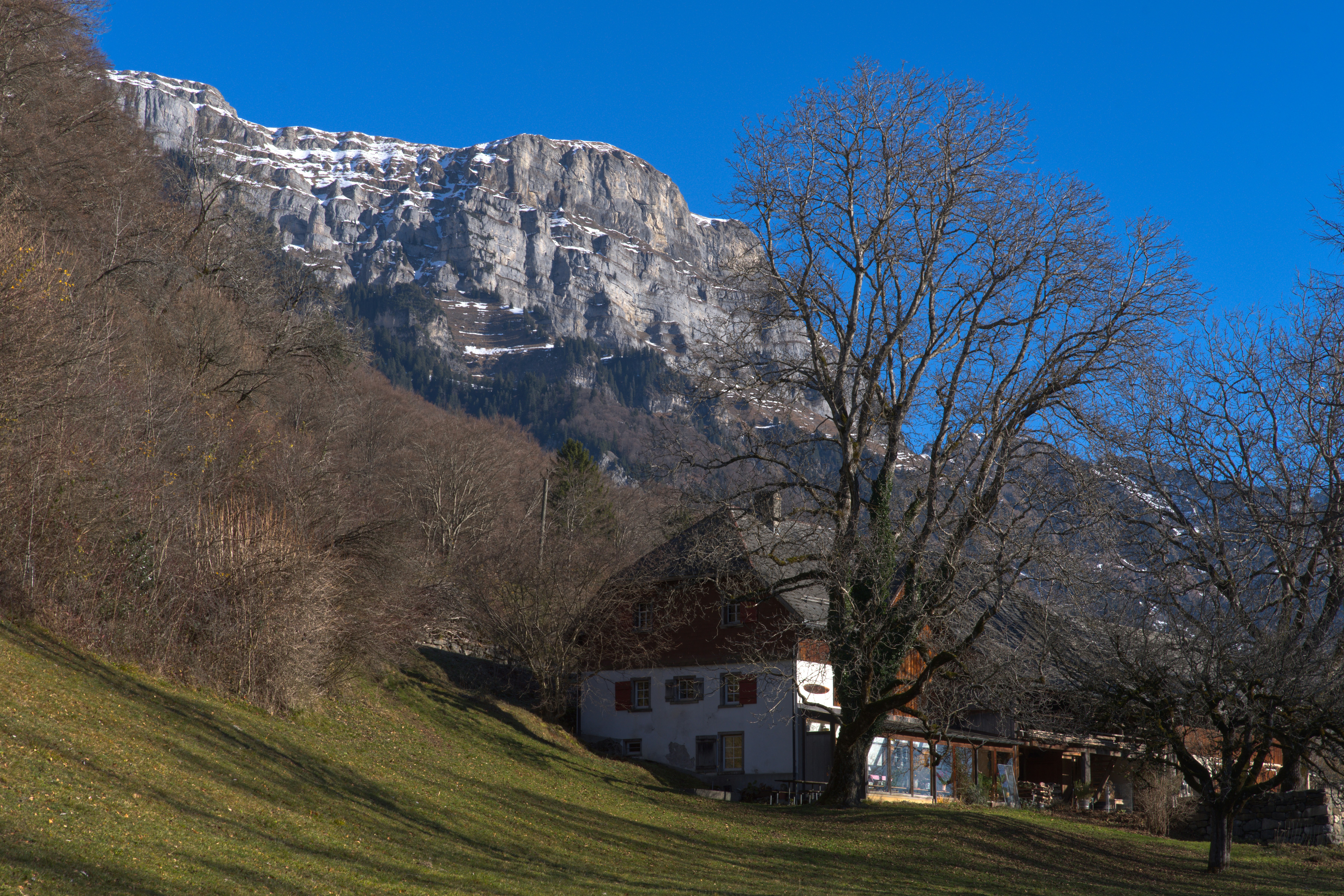 Photo by Walter Frehner with Pentax K-1 Mark II