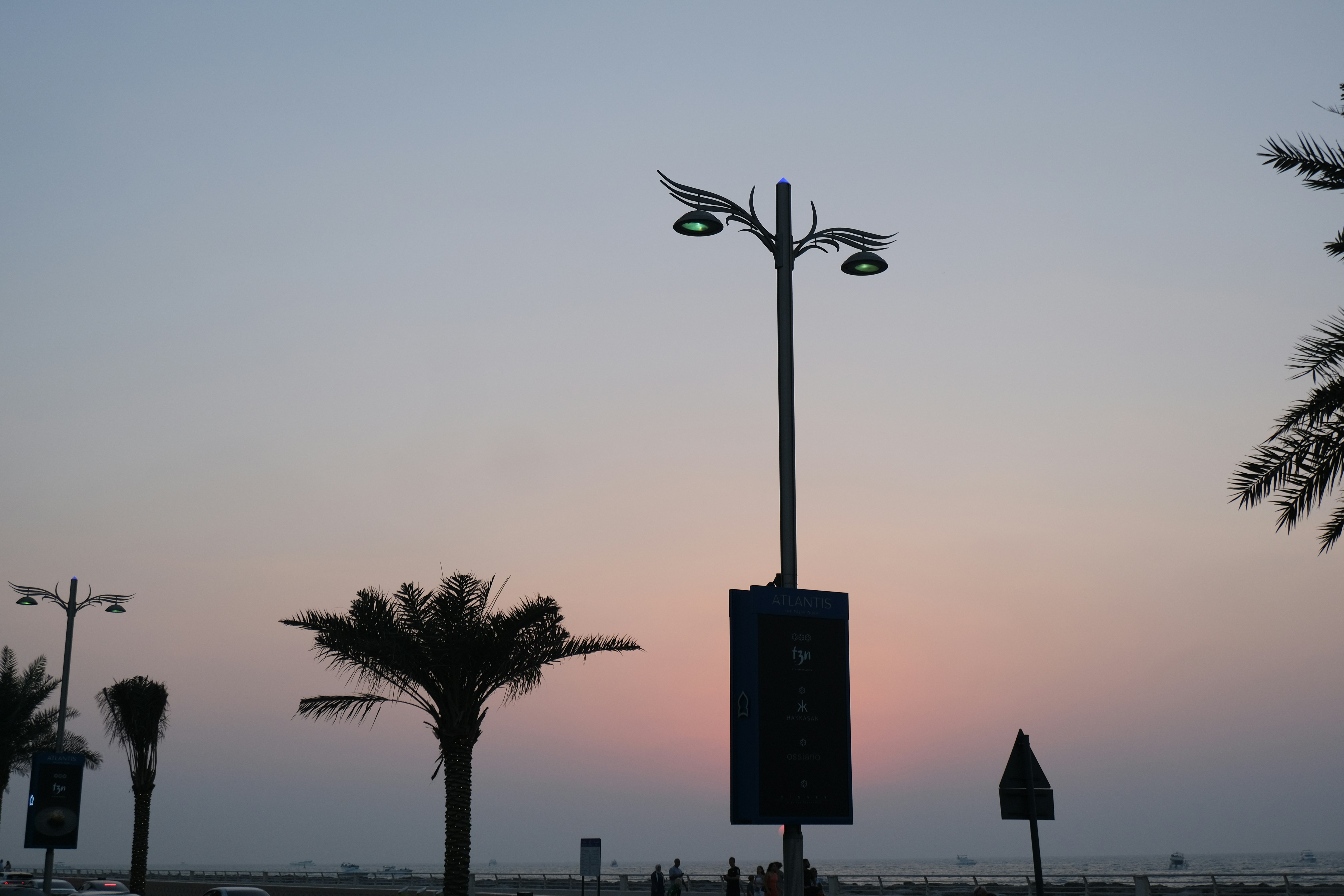 Silhouette at Sunset: A Quiet Promenade Beneath Slim Lamps