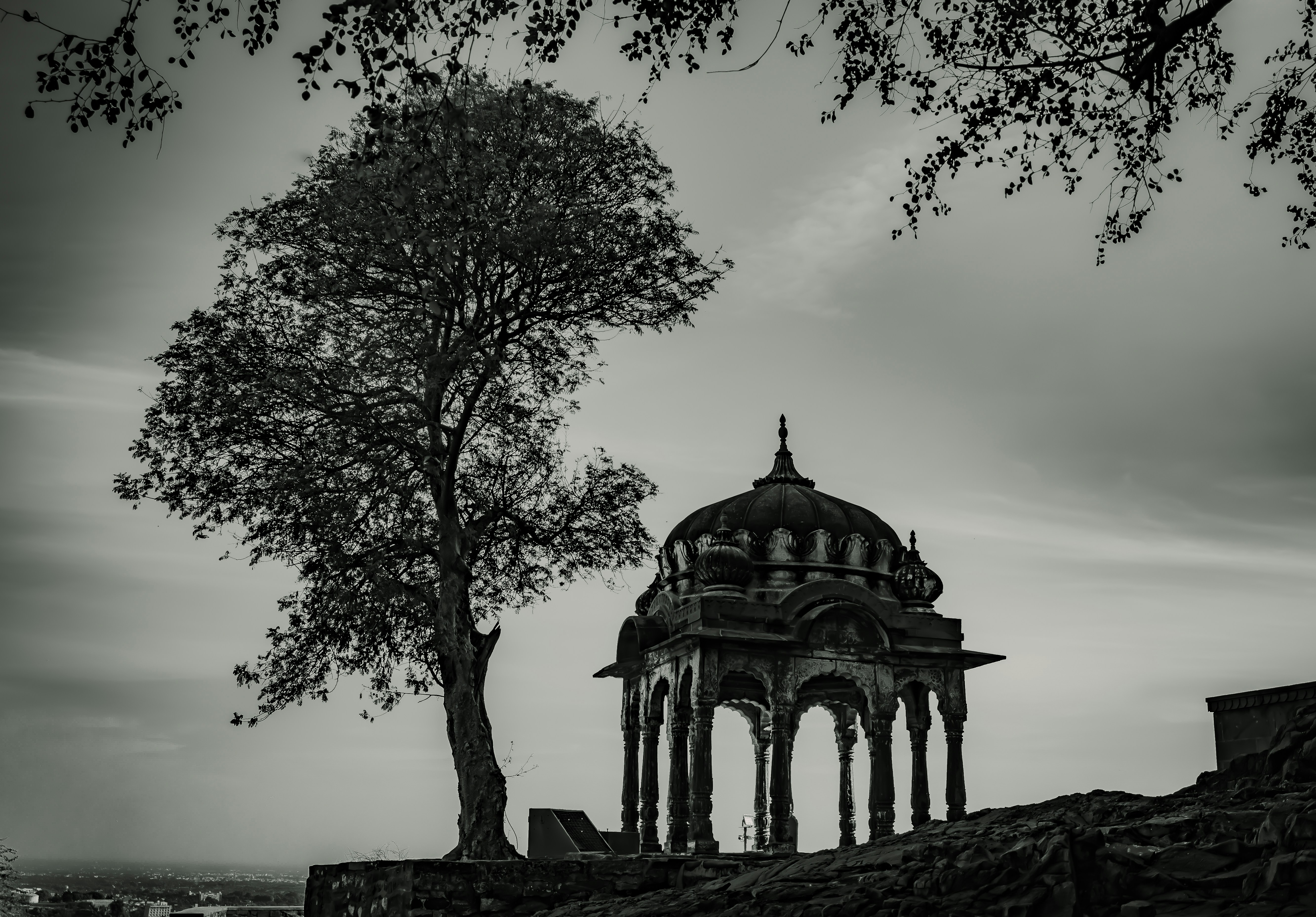 Silhouetted Pavilion and Tree Beside the Sea