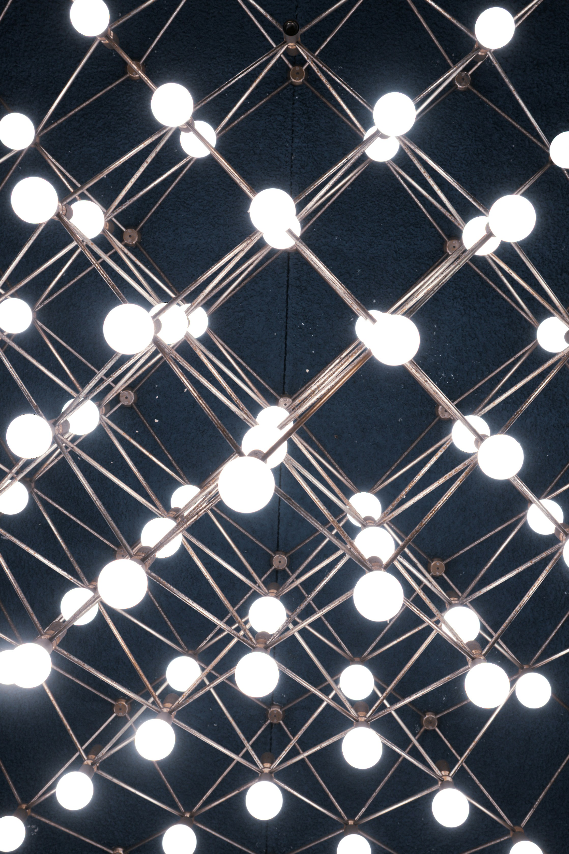 Photo by Julia Taubitz with Nikon Z6 III