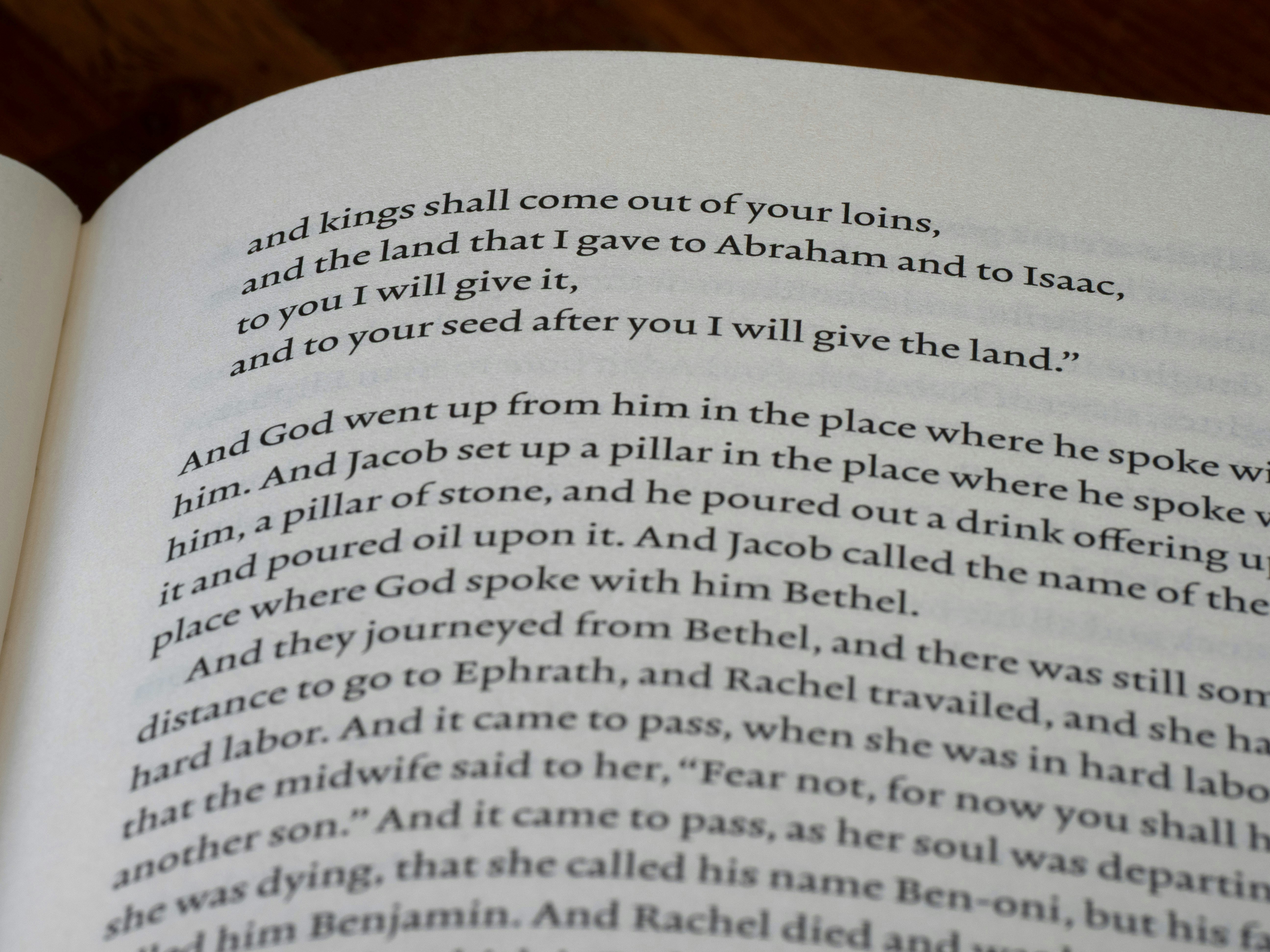 Whispers Between Pages: A Quiet Passage of Ancient Texts