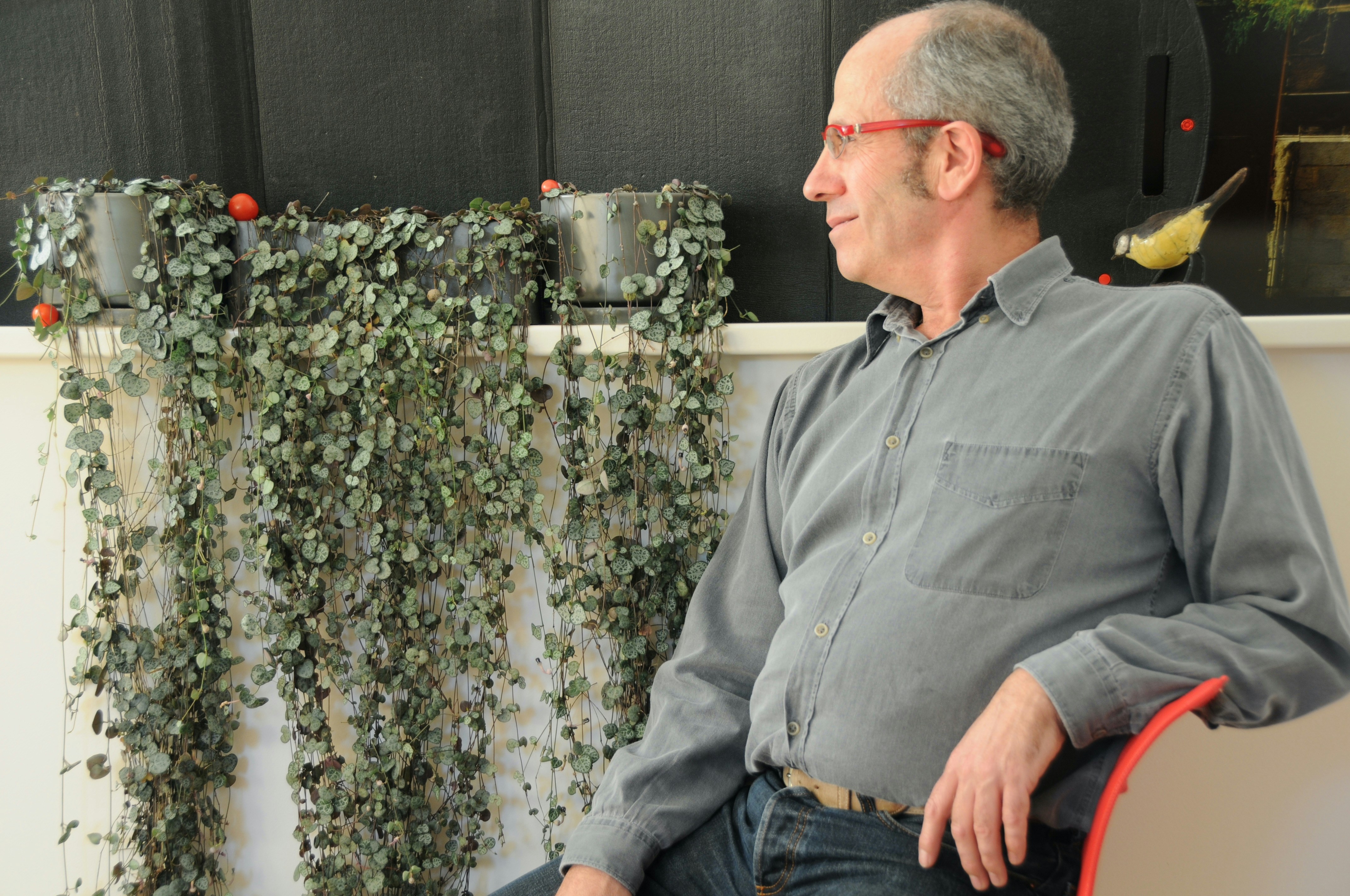 Man in a gray shirt reclines beside trailing ivy and a yellow bird sculpture