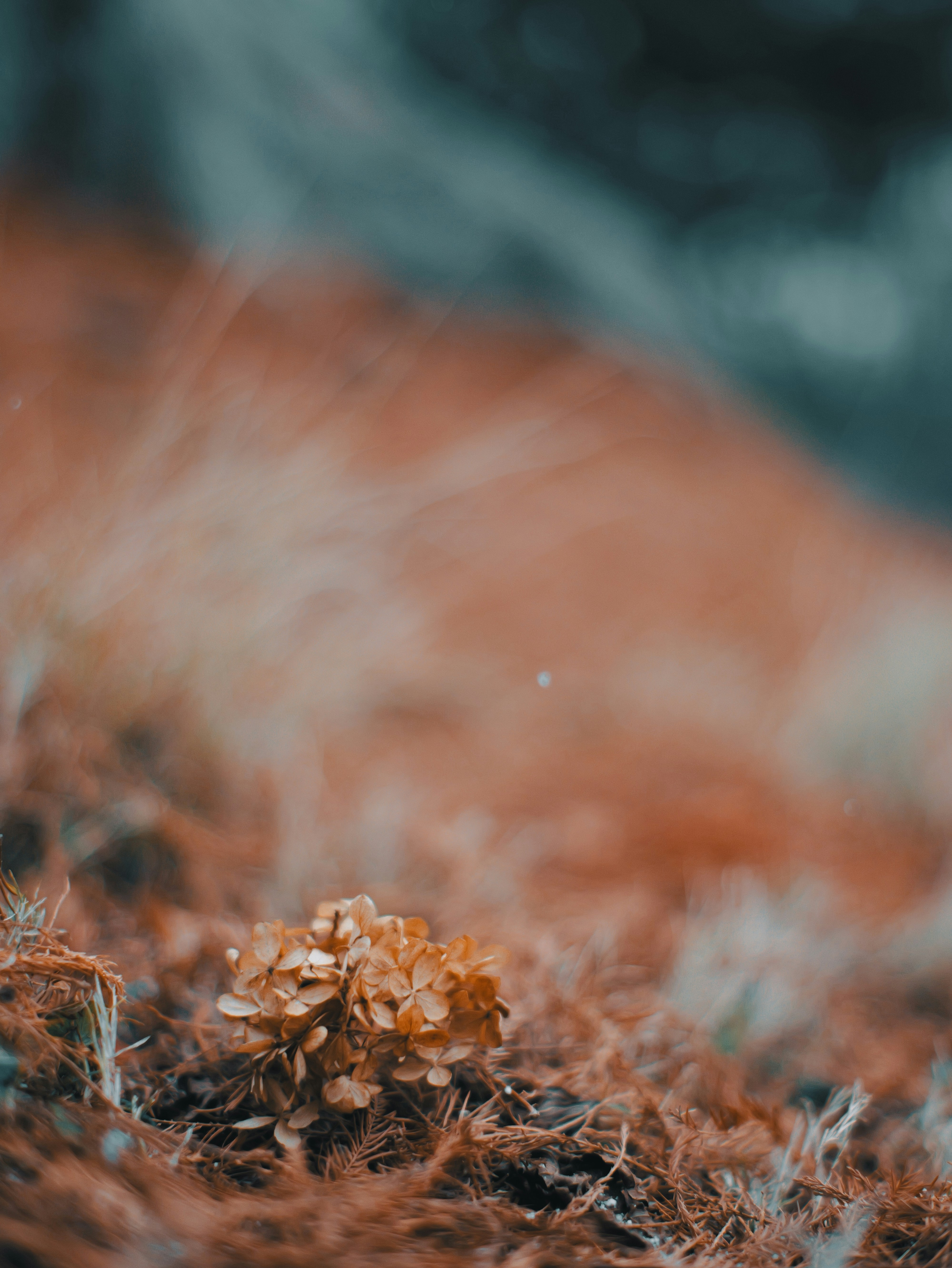 Sample photo from Panasonic Lumix S9