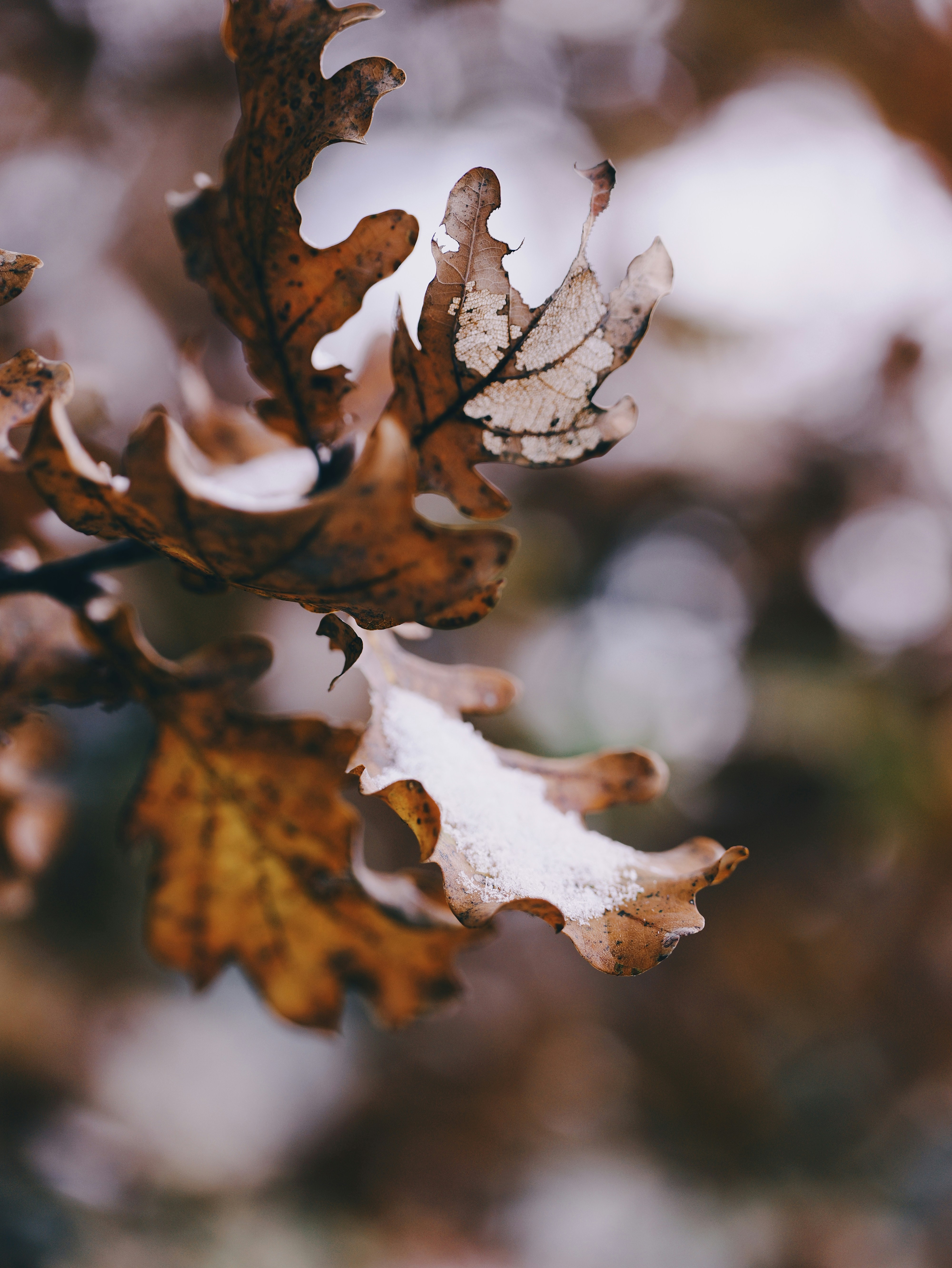 Photo by Aaron Burden with Panasonic Lumix S9