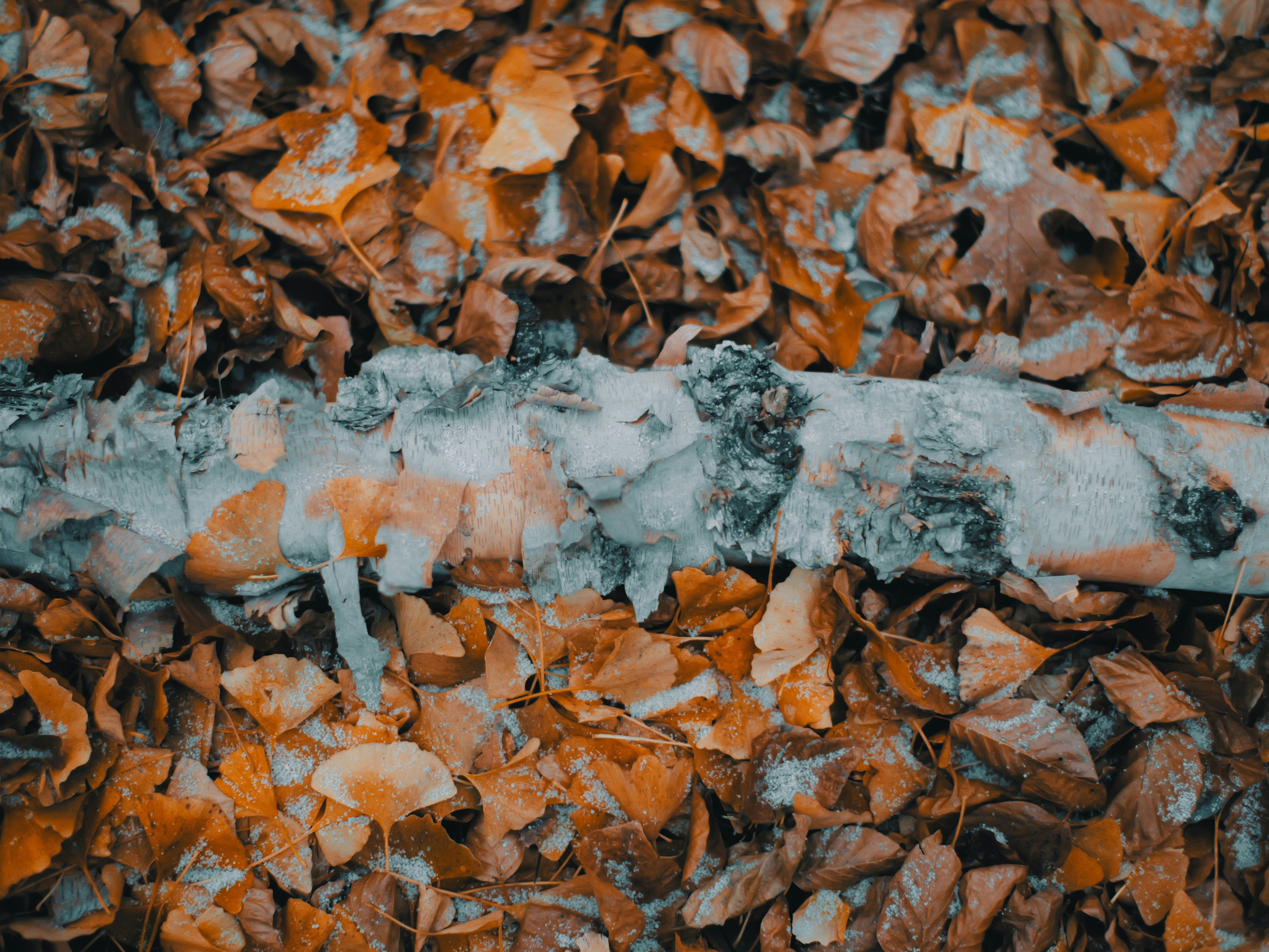 Photo by Aaron Burden with Panasonic Lumix S9