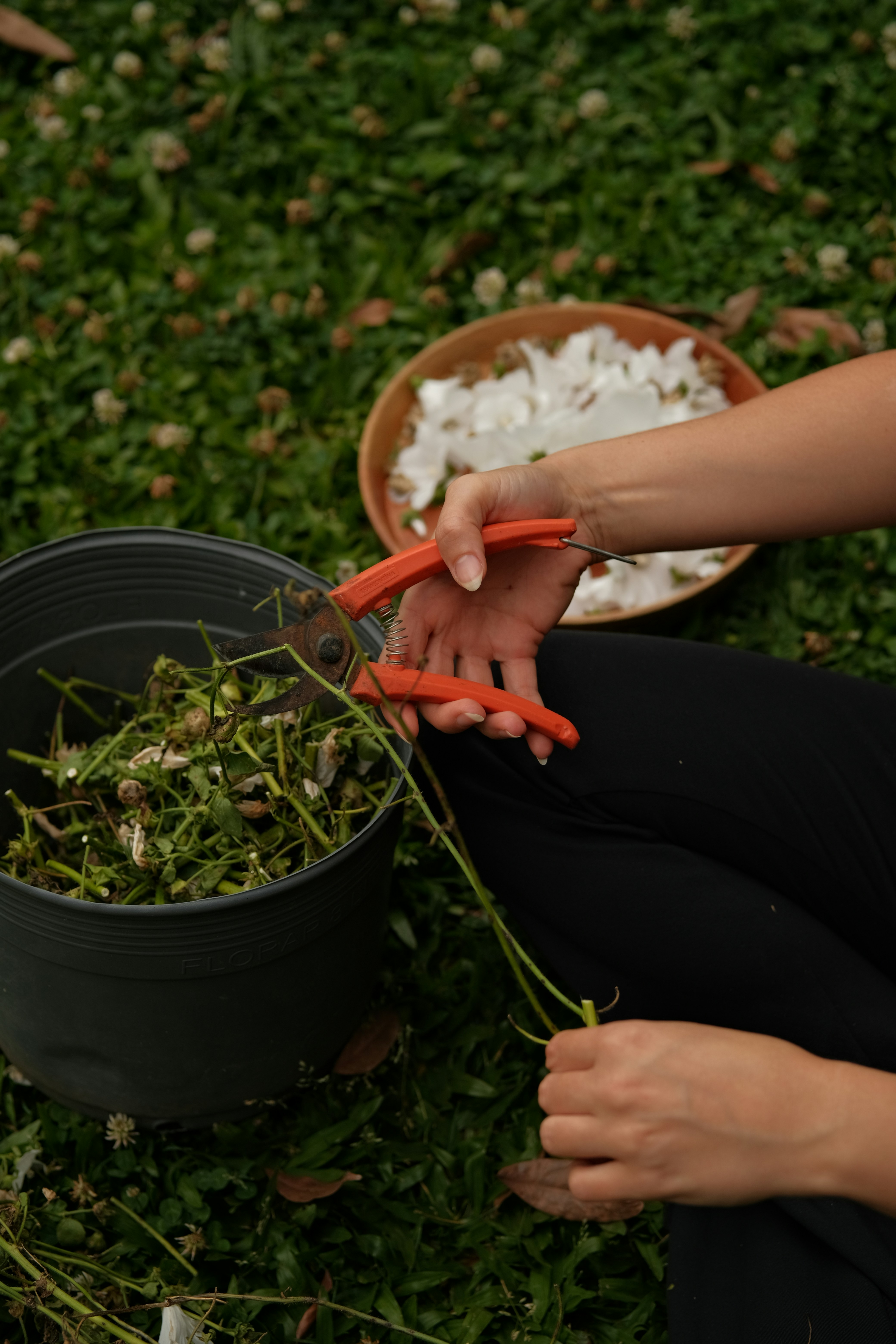 Photo by Caroline Badran with Fujifilm X-T30 II