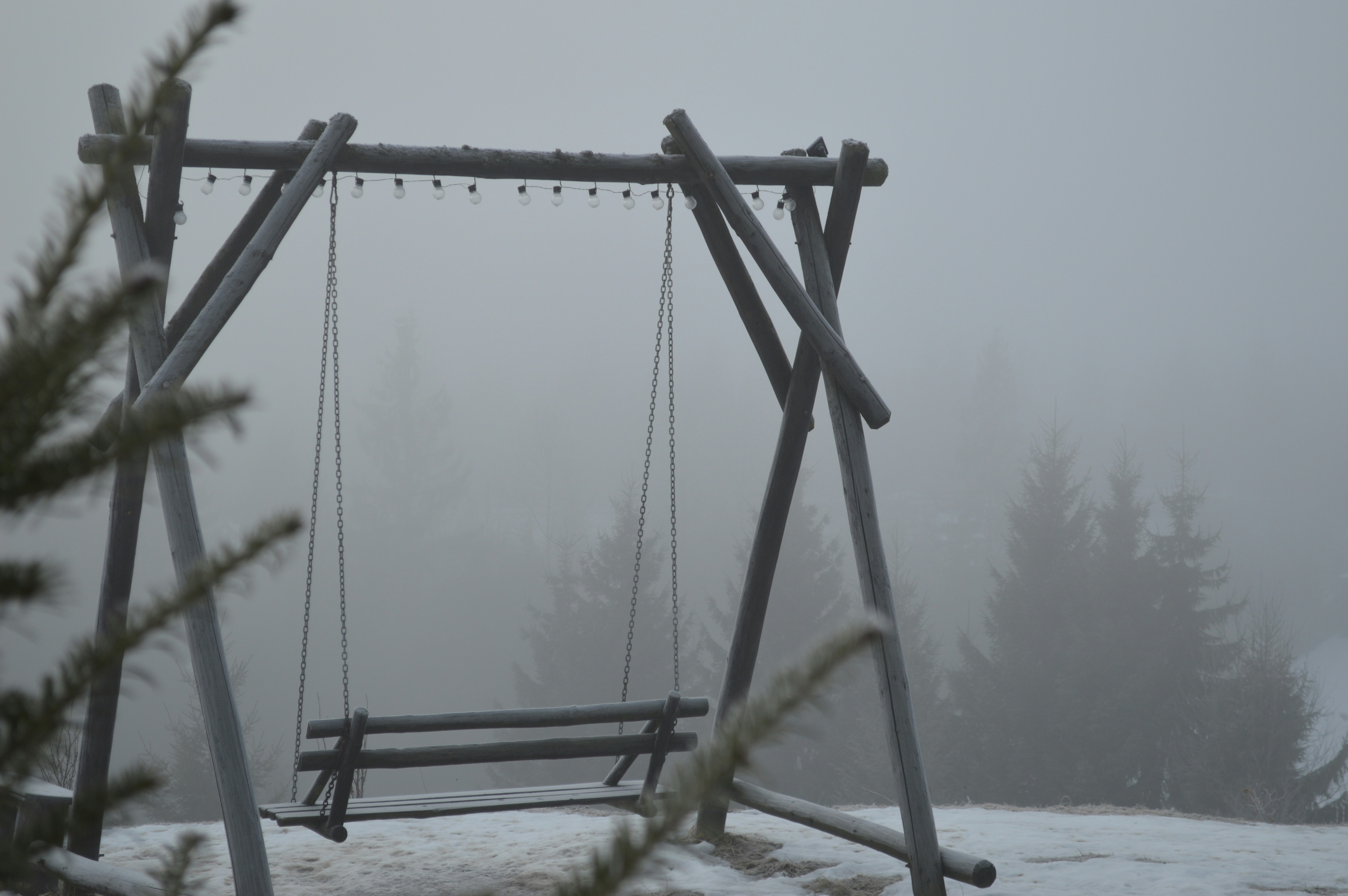 Mist-Laden Swing Over Quiet Pines