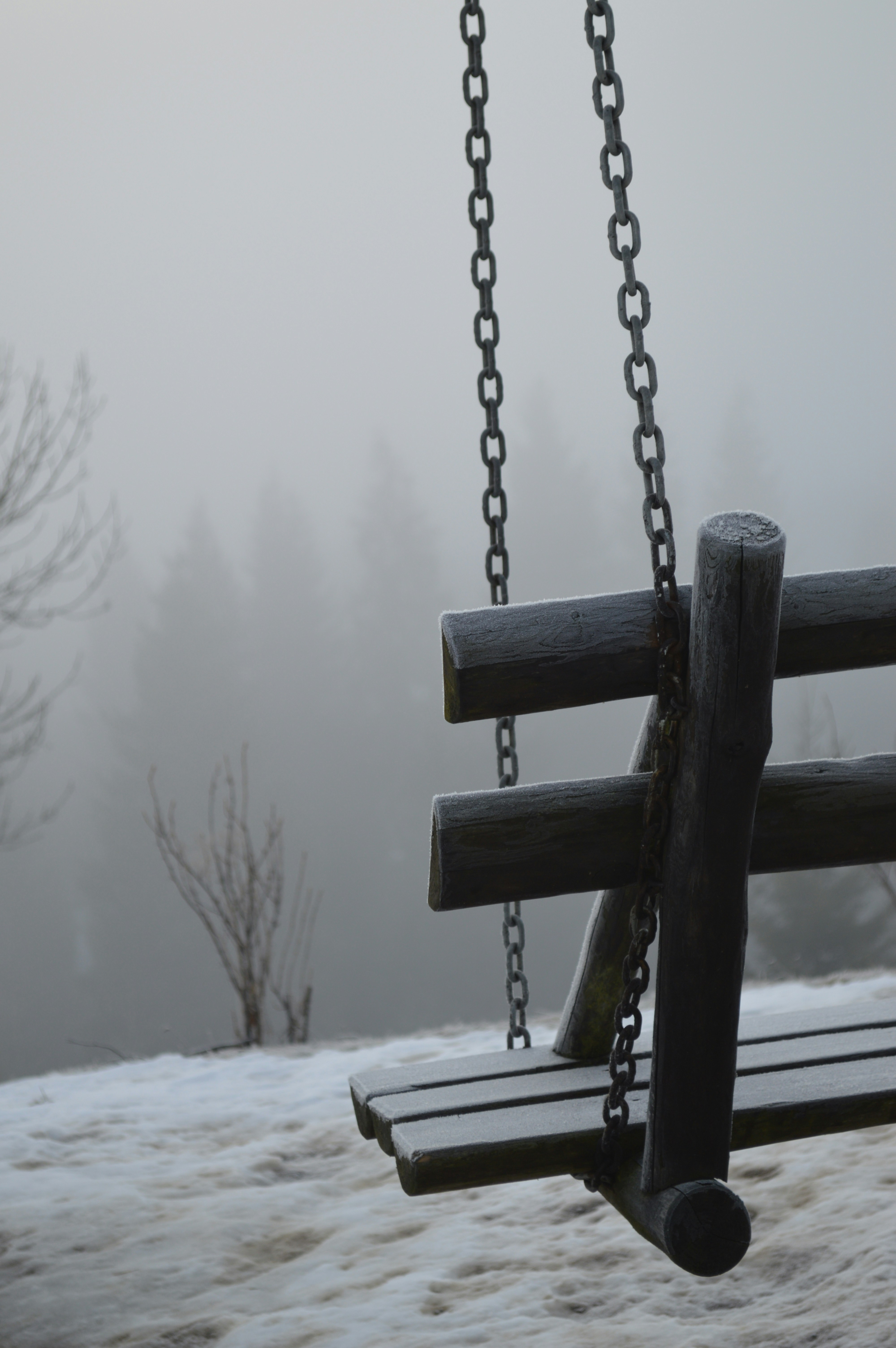 Winter Silence on a Wooden Swing