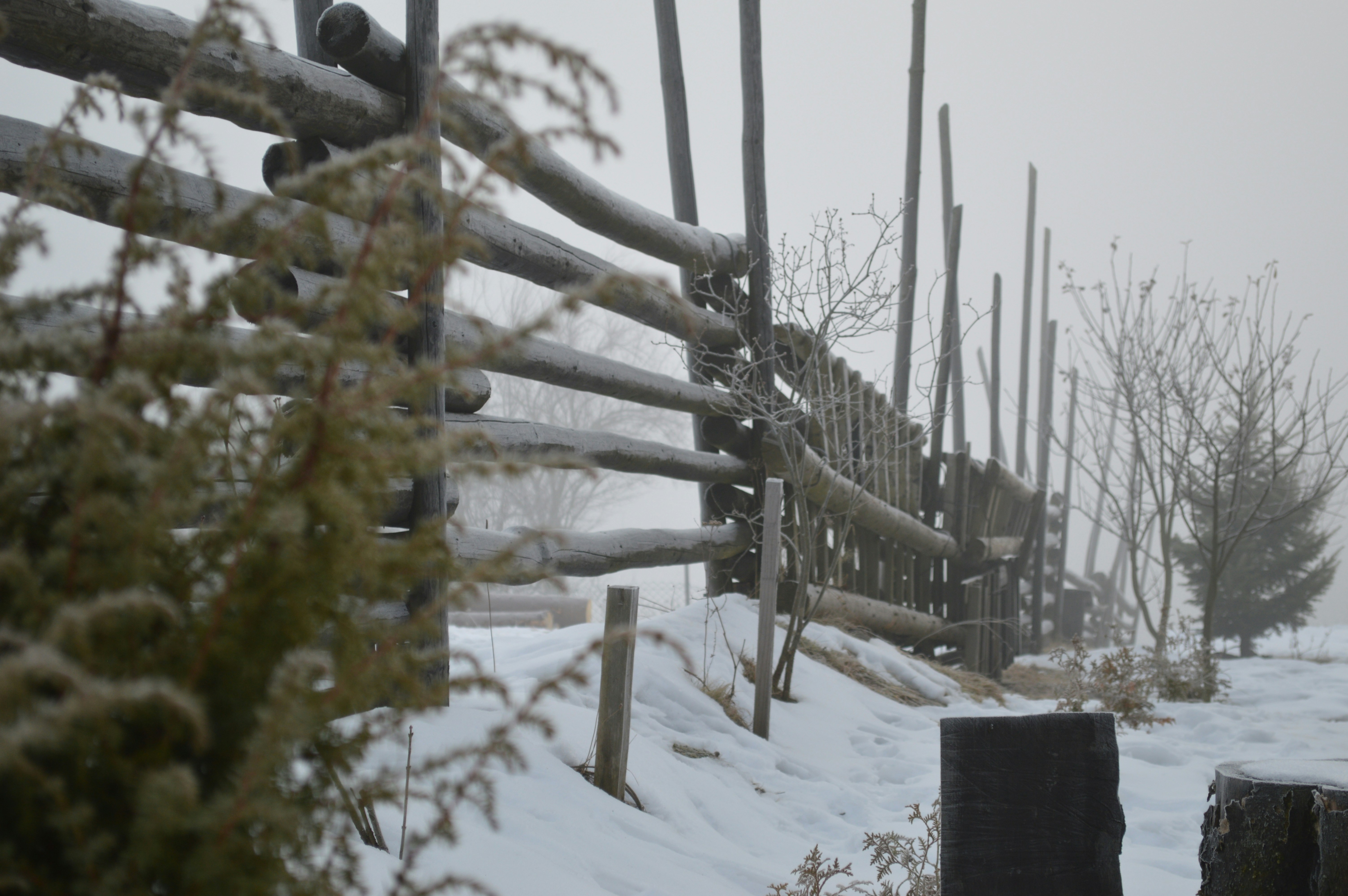 Photo by ROMAN TRO with Nikon D3200