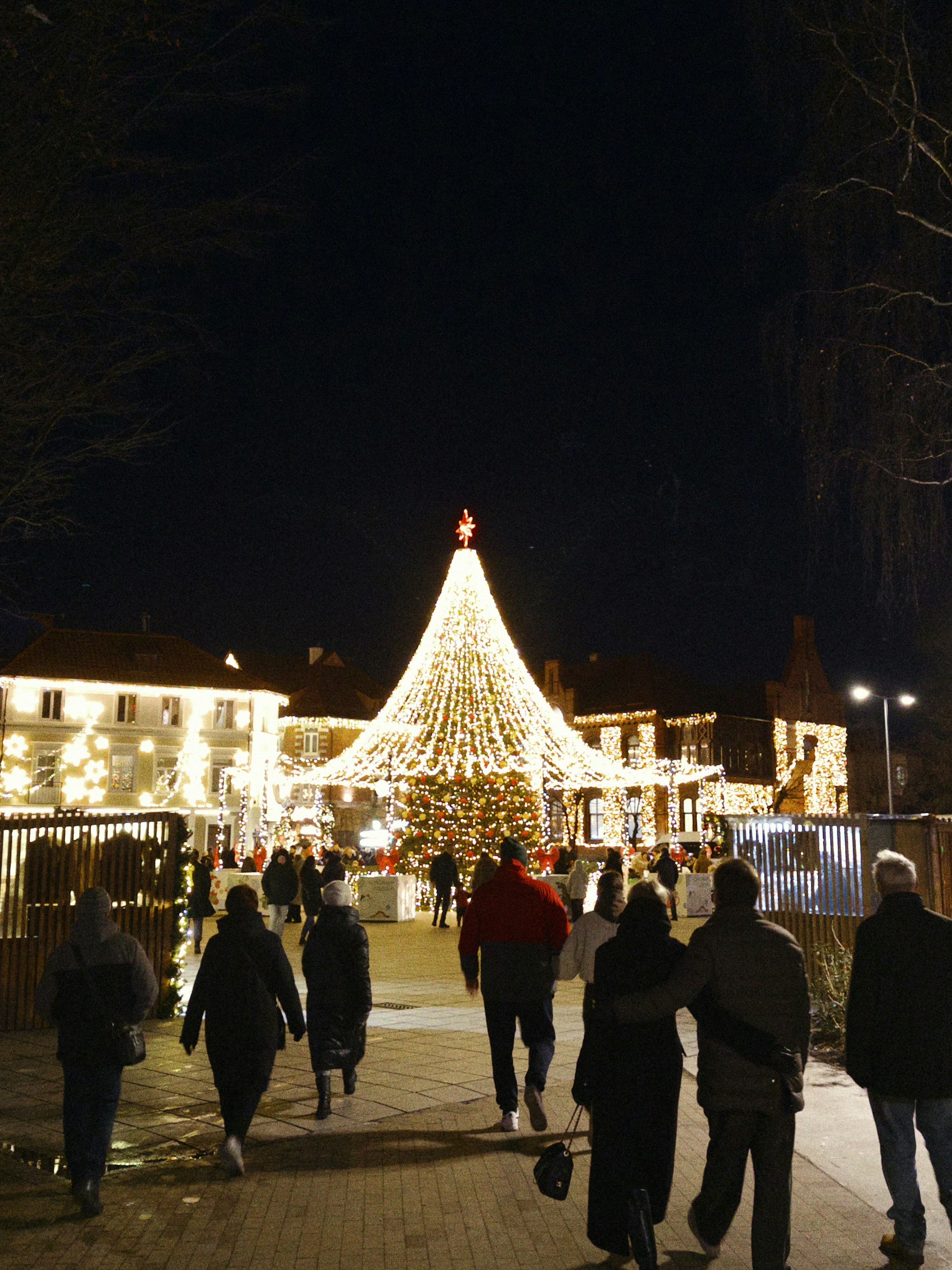 People walk towards a brightly lit christmas tree at night.