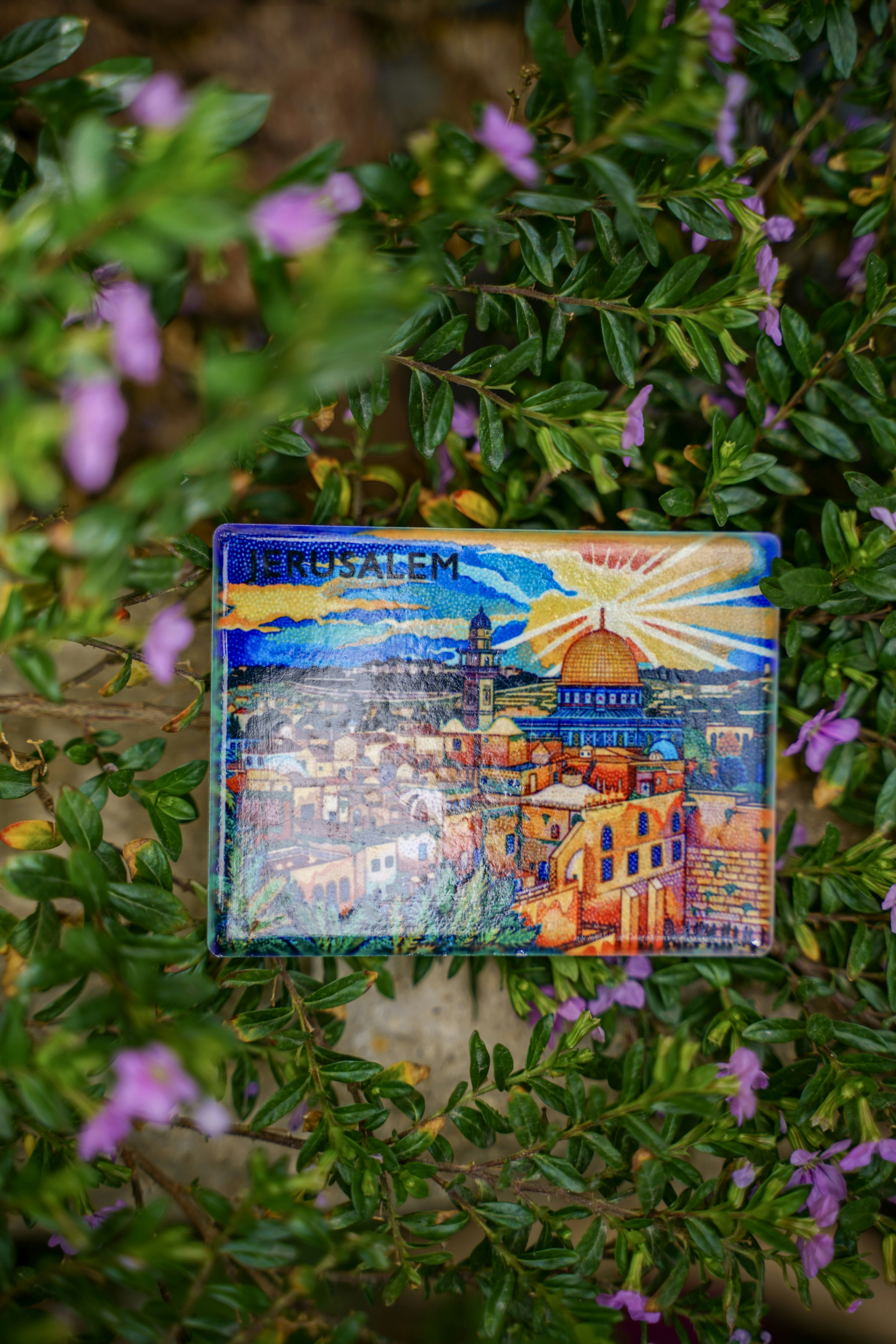 Colorful Jerusalem Tile Close-Up Amid Green Foliage