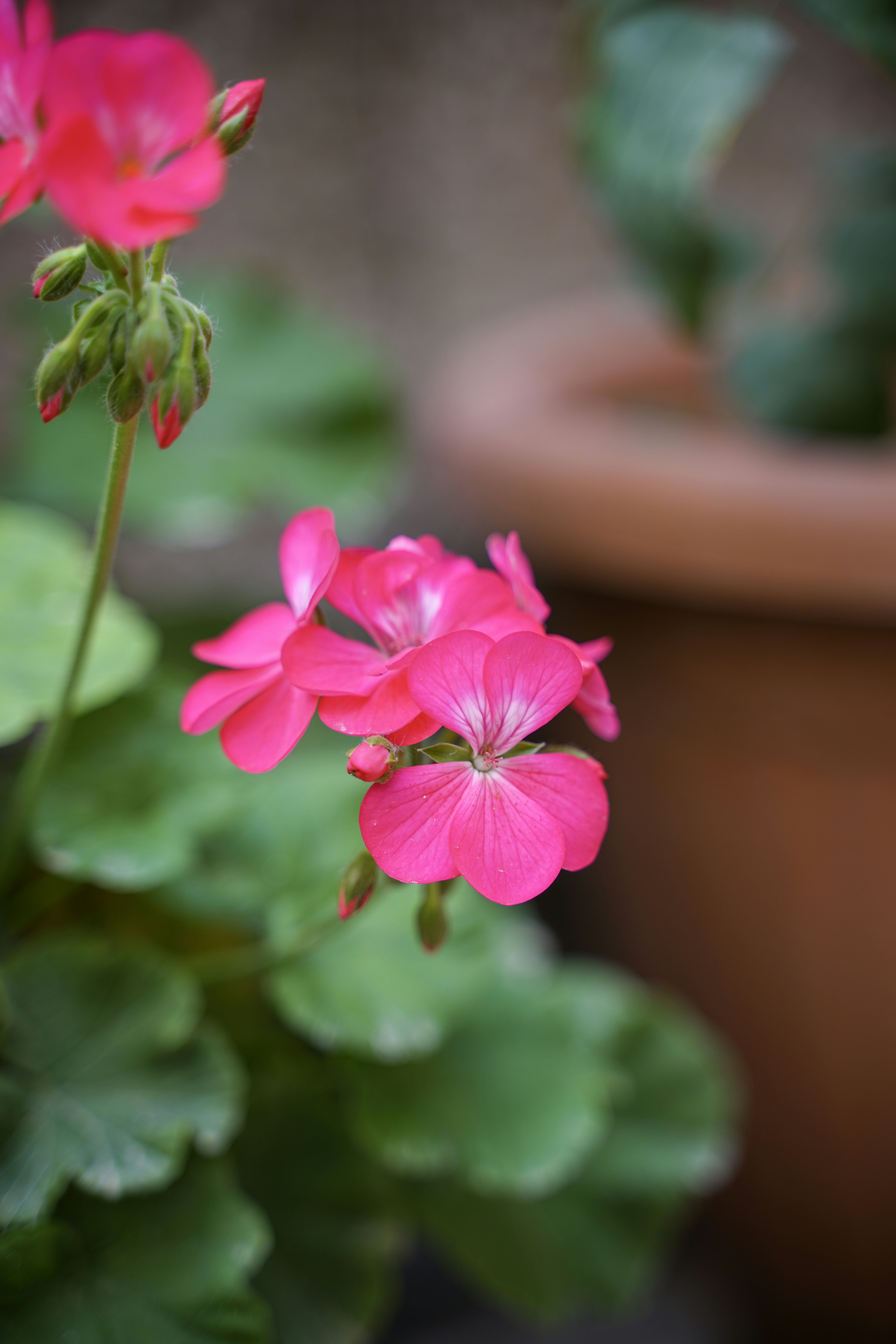 Photo by George 🦅 with Sony Alpha 7R II